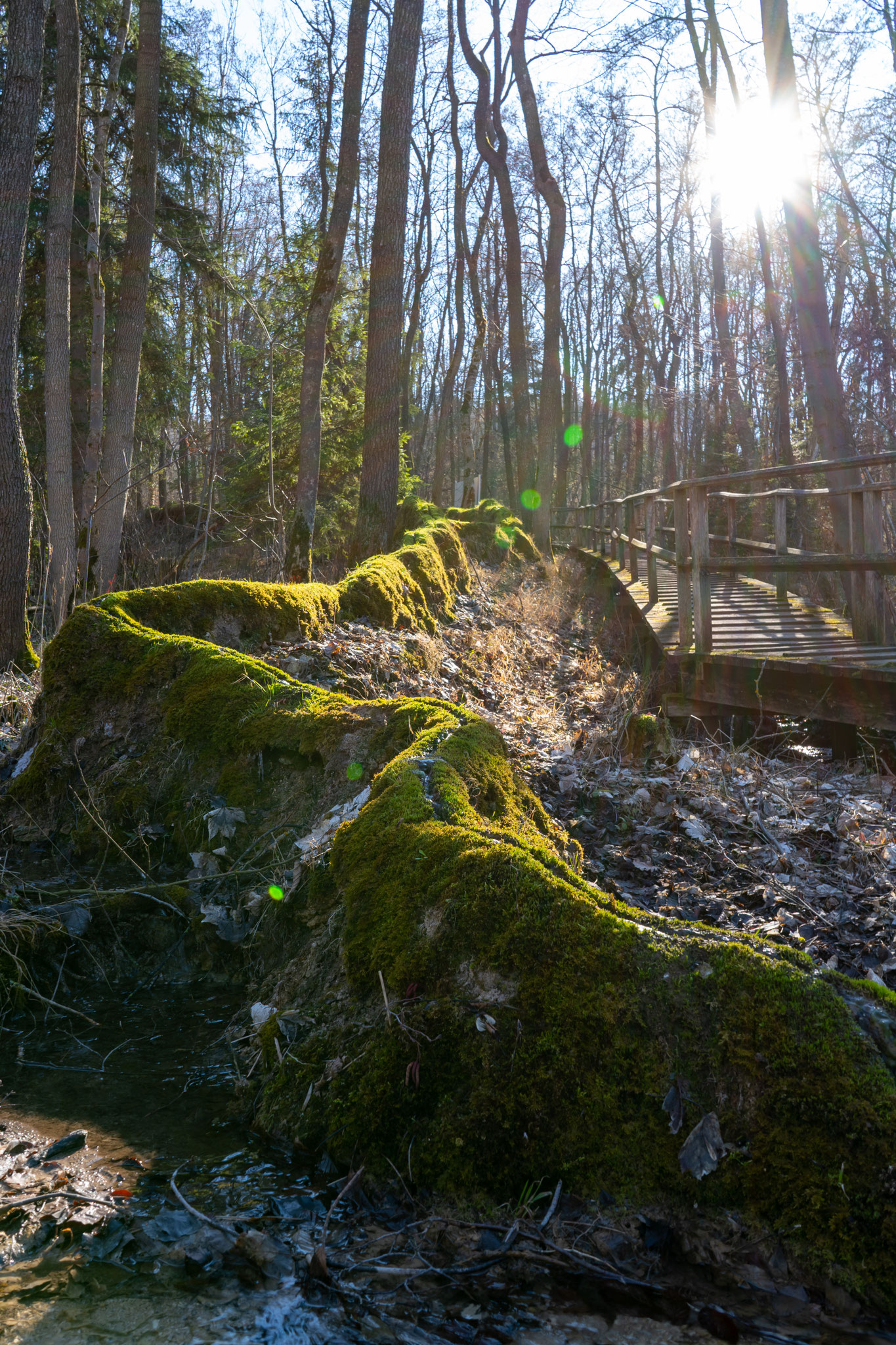 Steinerne Rinne Ettenstatt/Rohrbach - GEO-Drohne