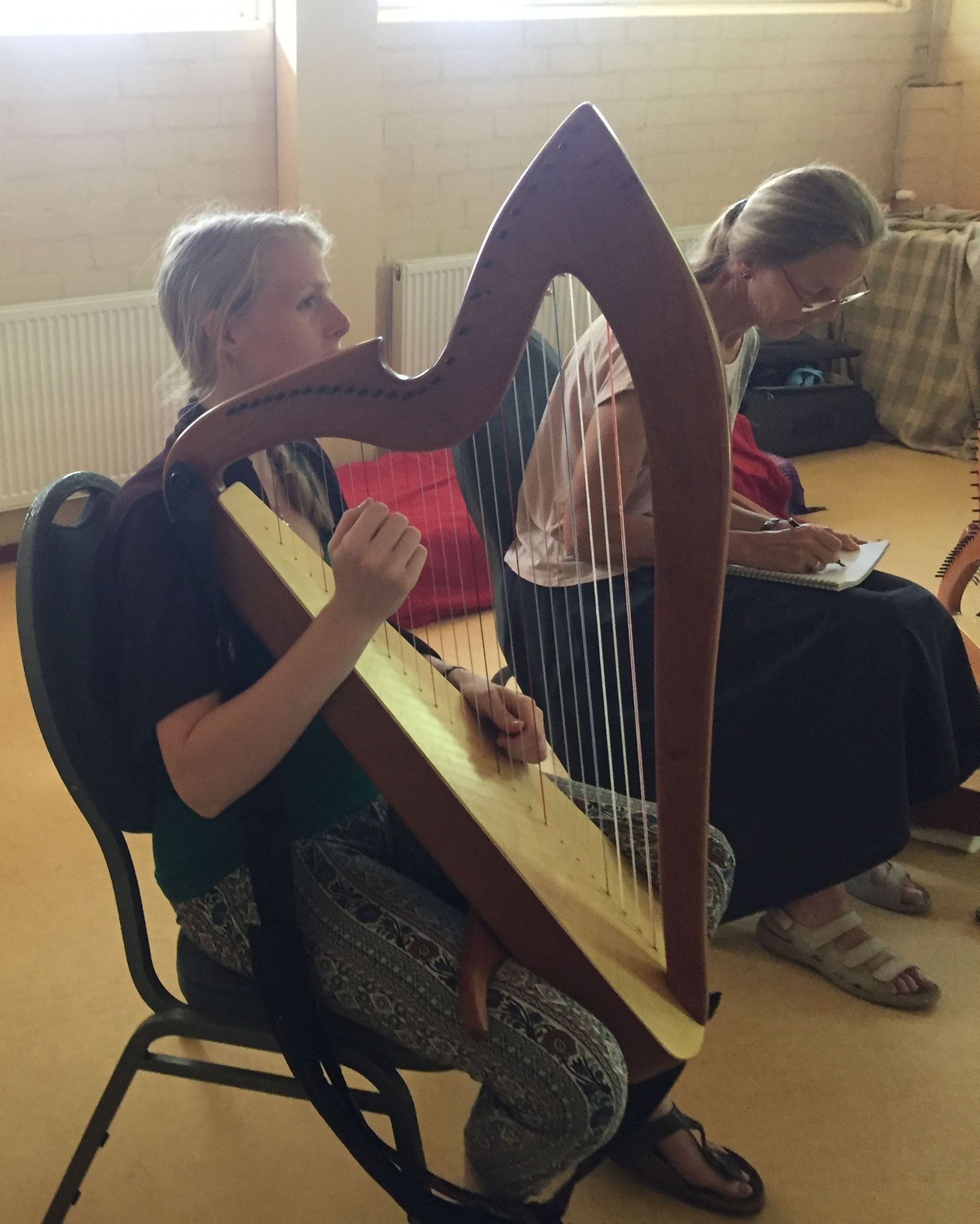 IHTP (international harp therapy program) - Harpéopathie