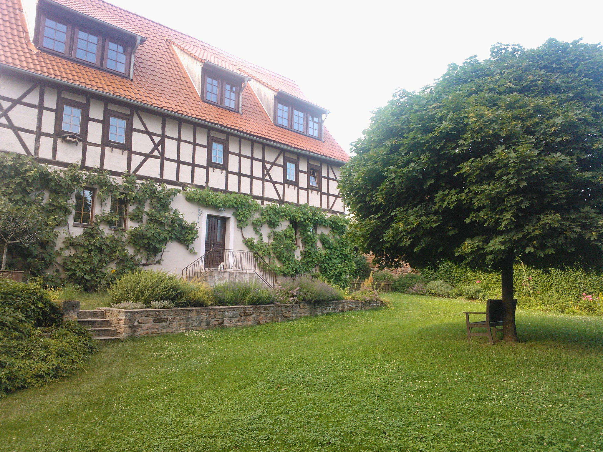 Urlaub auf dem Bio-Bauernhof - BIOTOPIA Greifenhagen - Bioland Betrieb ...