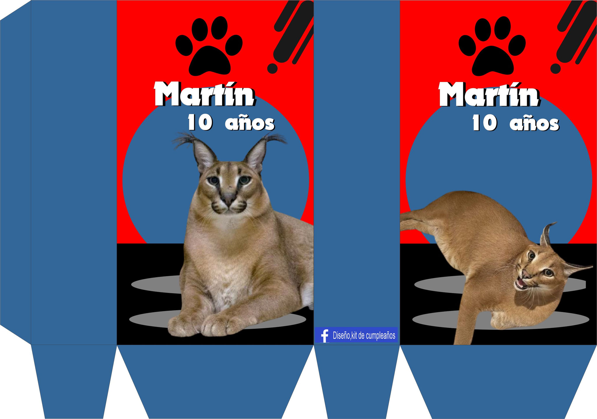 Gato Big floppa - Página web de diseñokitdecumpleaños