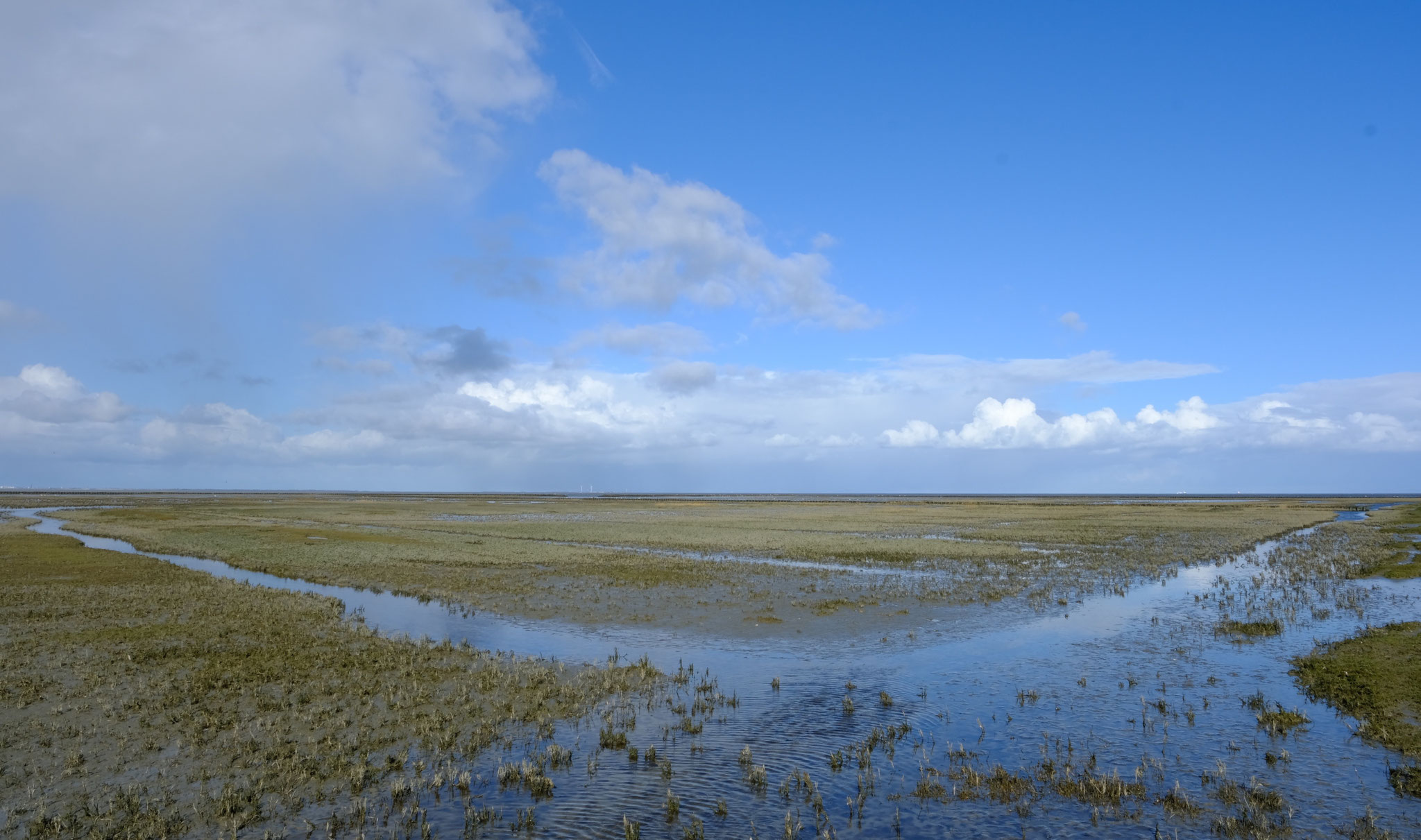 Natuurgebied Uithuizerwad - Mooigrunnen.nl