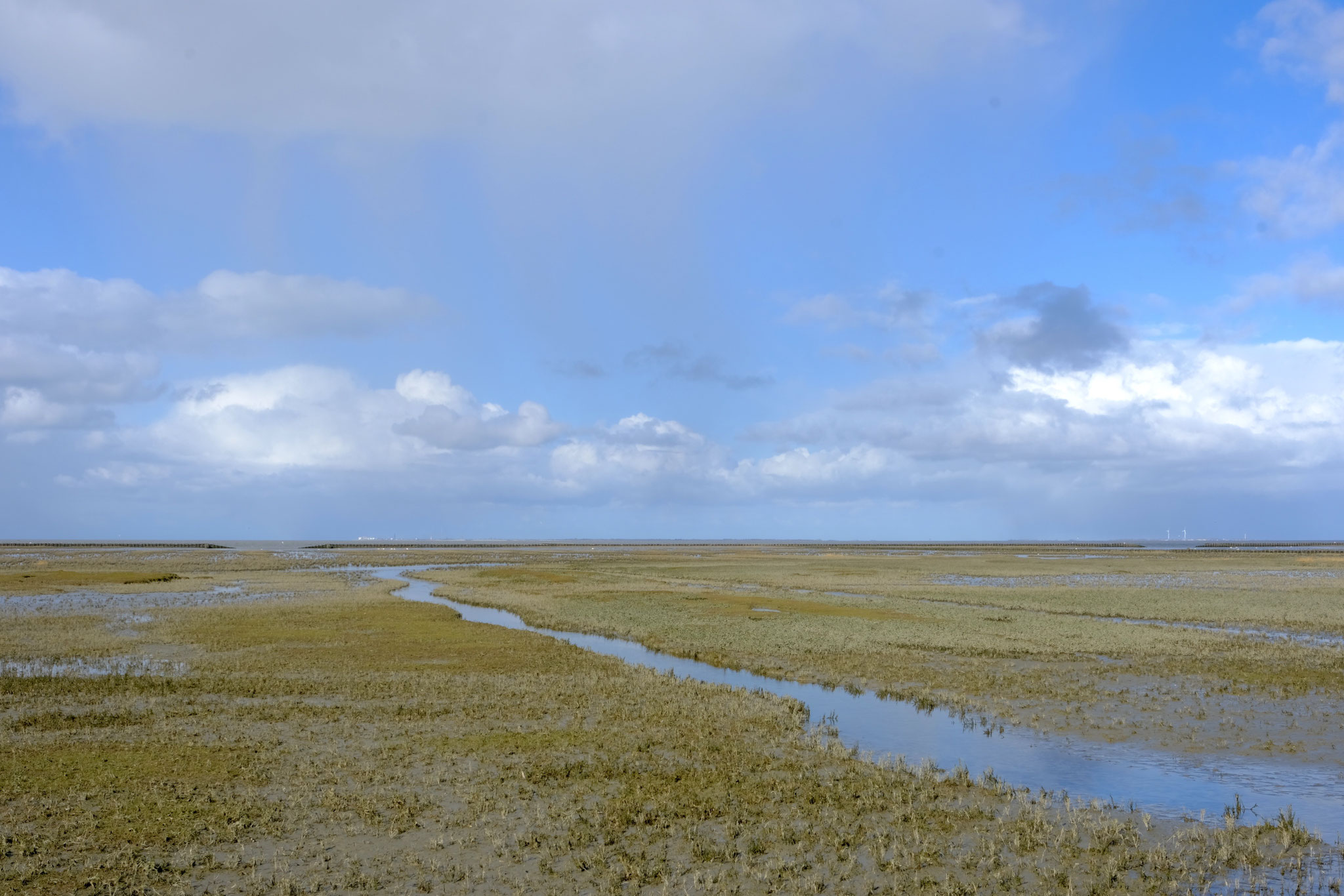 Natuurgebied Uithuizerwad - Mooigrunnen.nl
