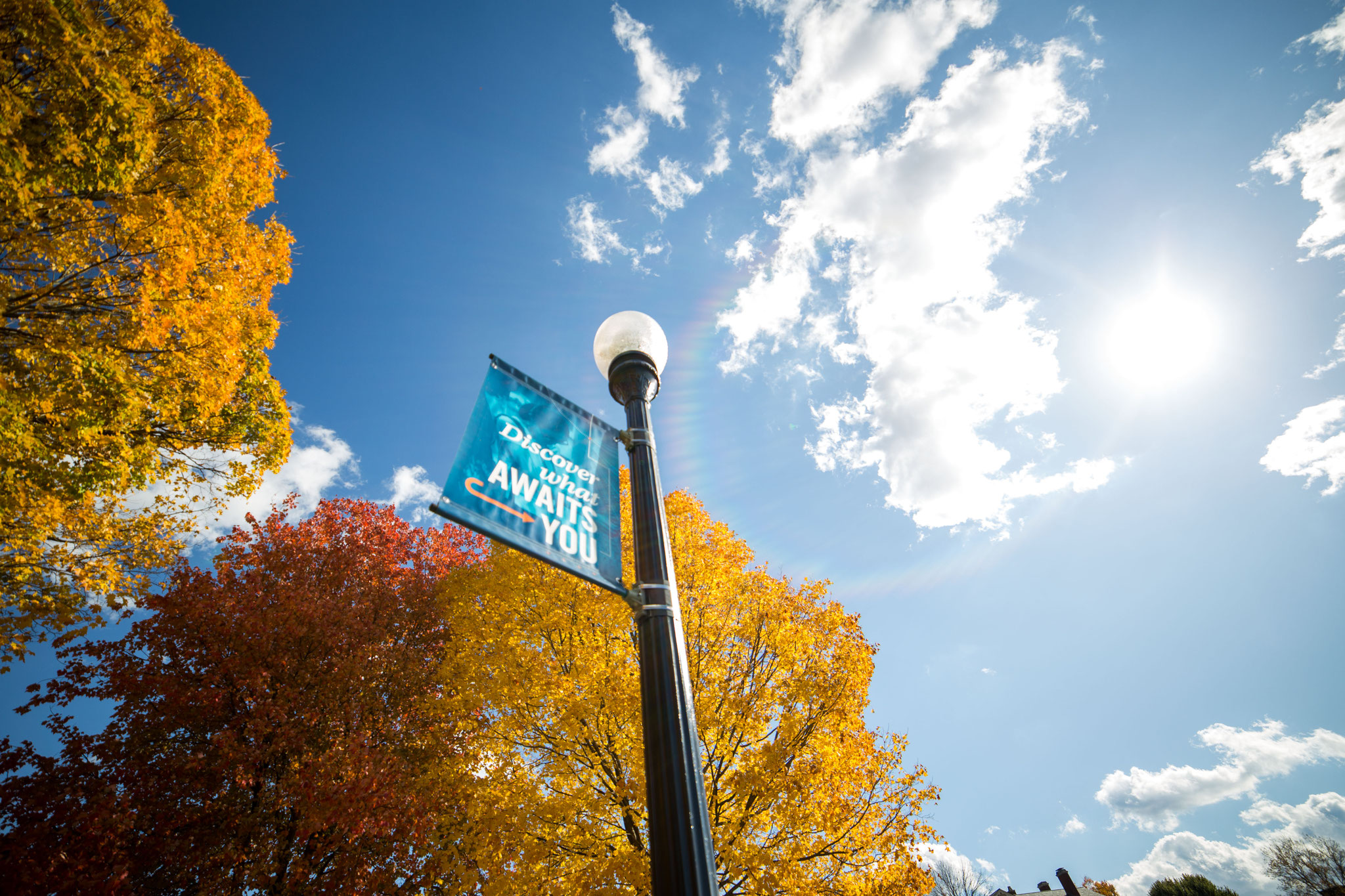 Bucknell University - michaelabracken