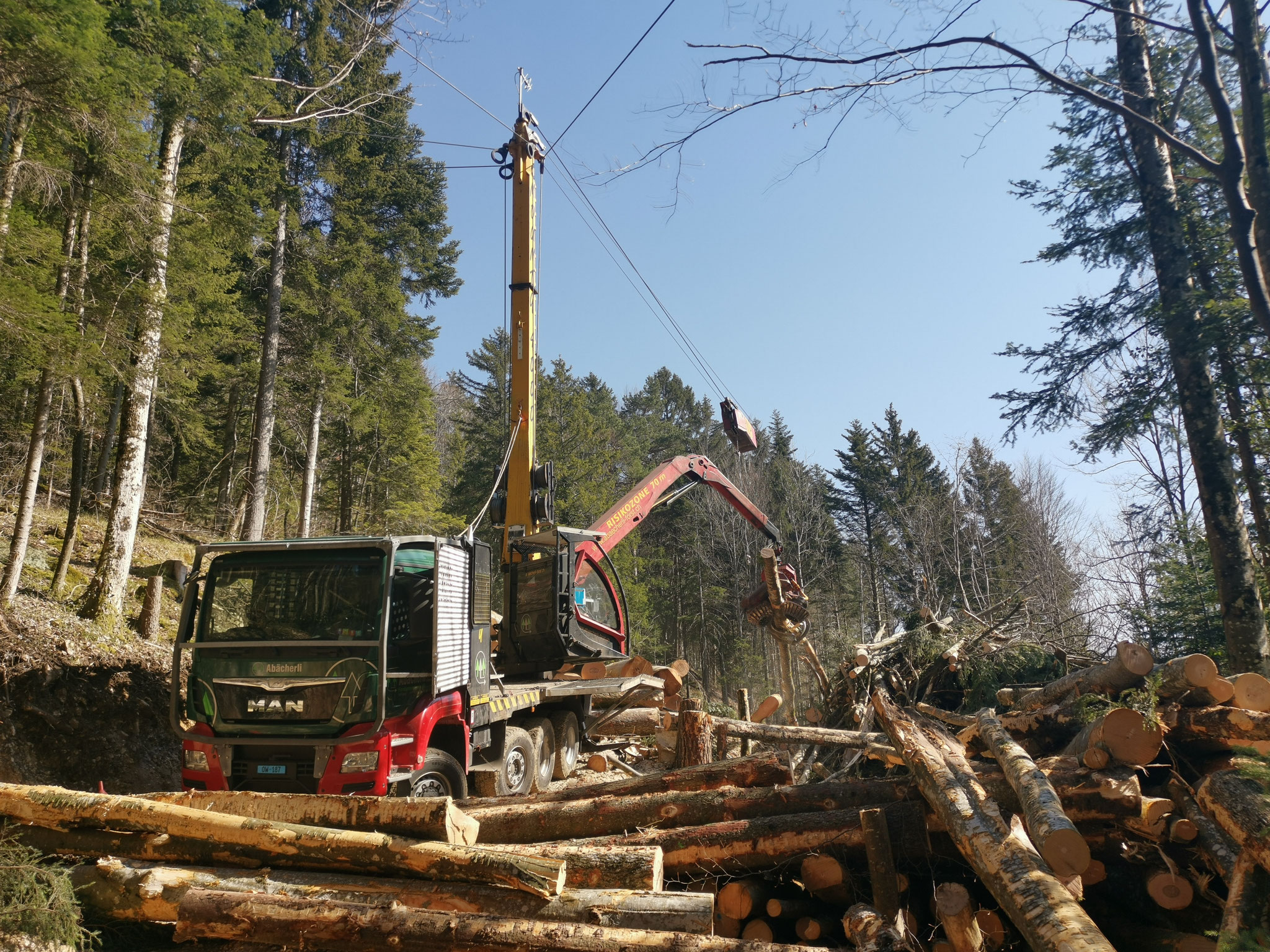 Schutzwald - Forst Dünnerntal