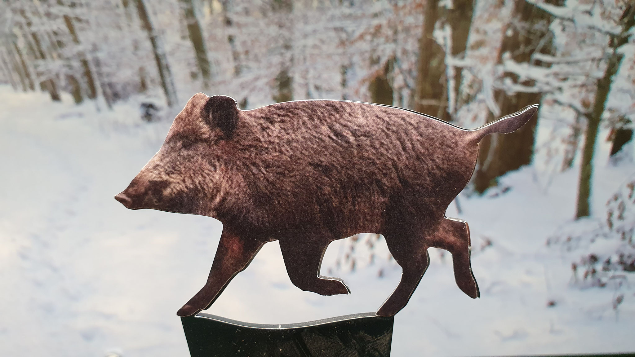 Keilershoot Luftgewehr Schiessanlagen - Luftgewehr schiessanlage ...