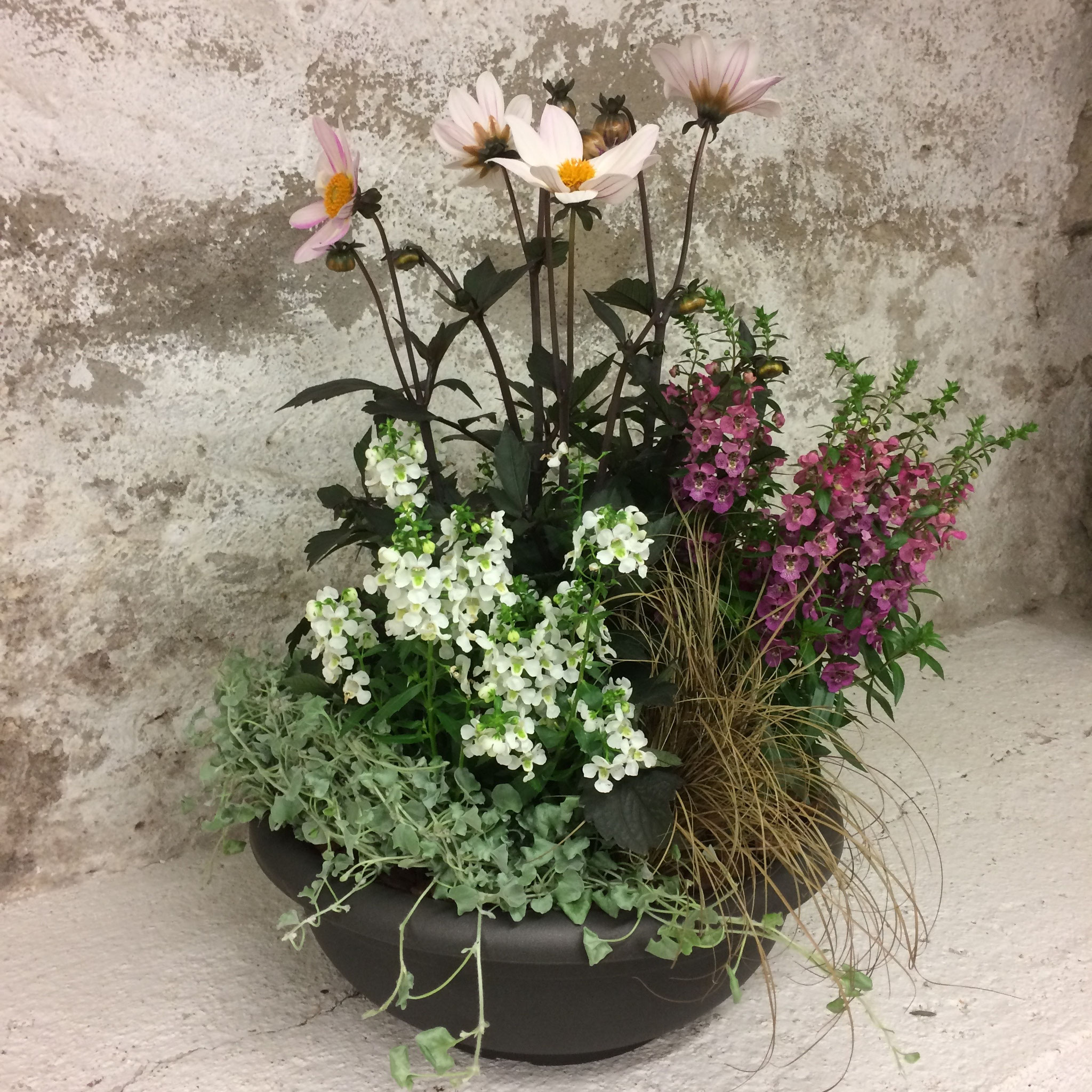 Trauer - Blumen verzaubern