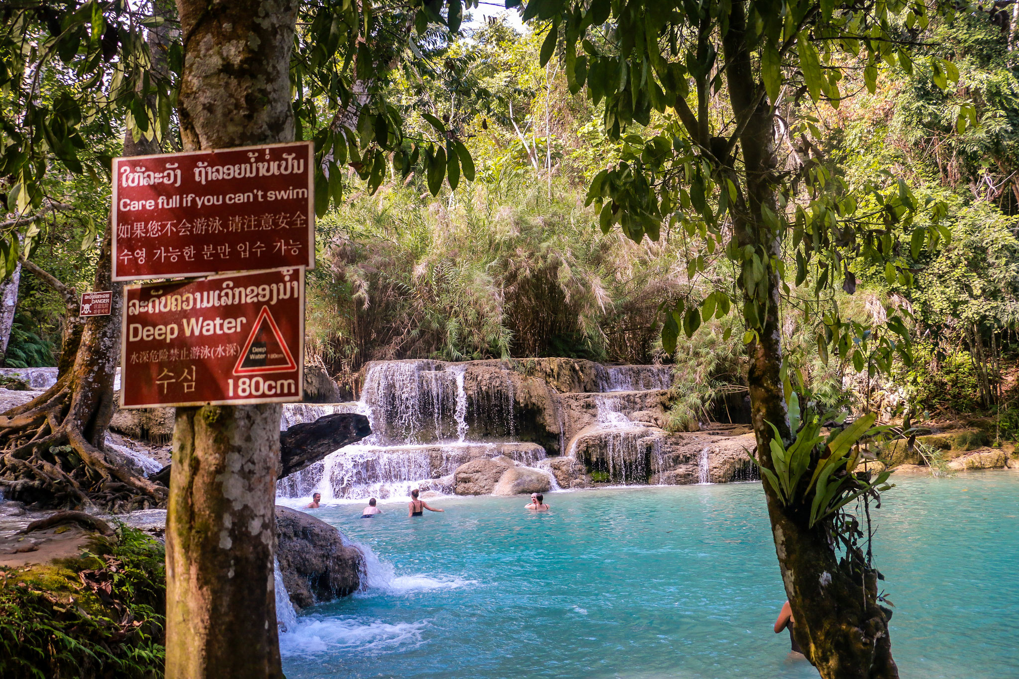 Tat Kuang Si Wasserfall in Laos: Ein unvergessliches Naturparadies - Tipps und Infos für ...