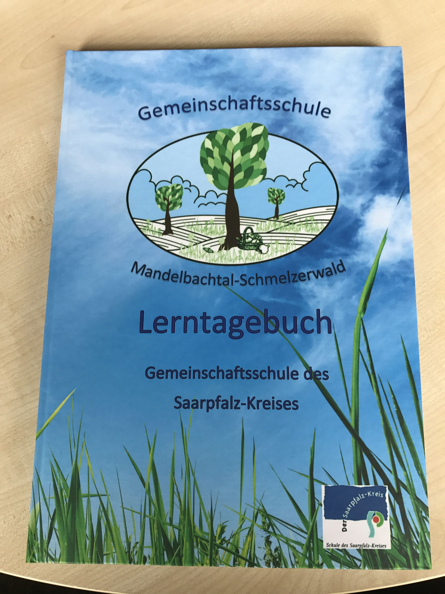 Neue Lernkultur - Mandelbachtalschule