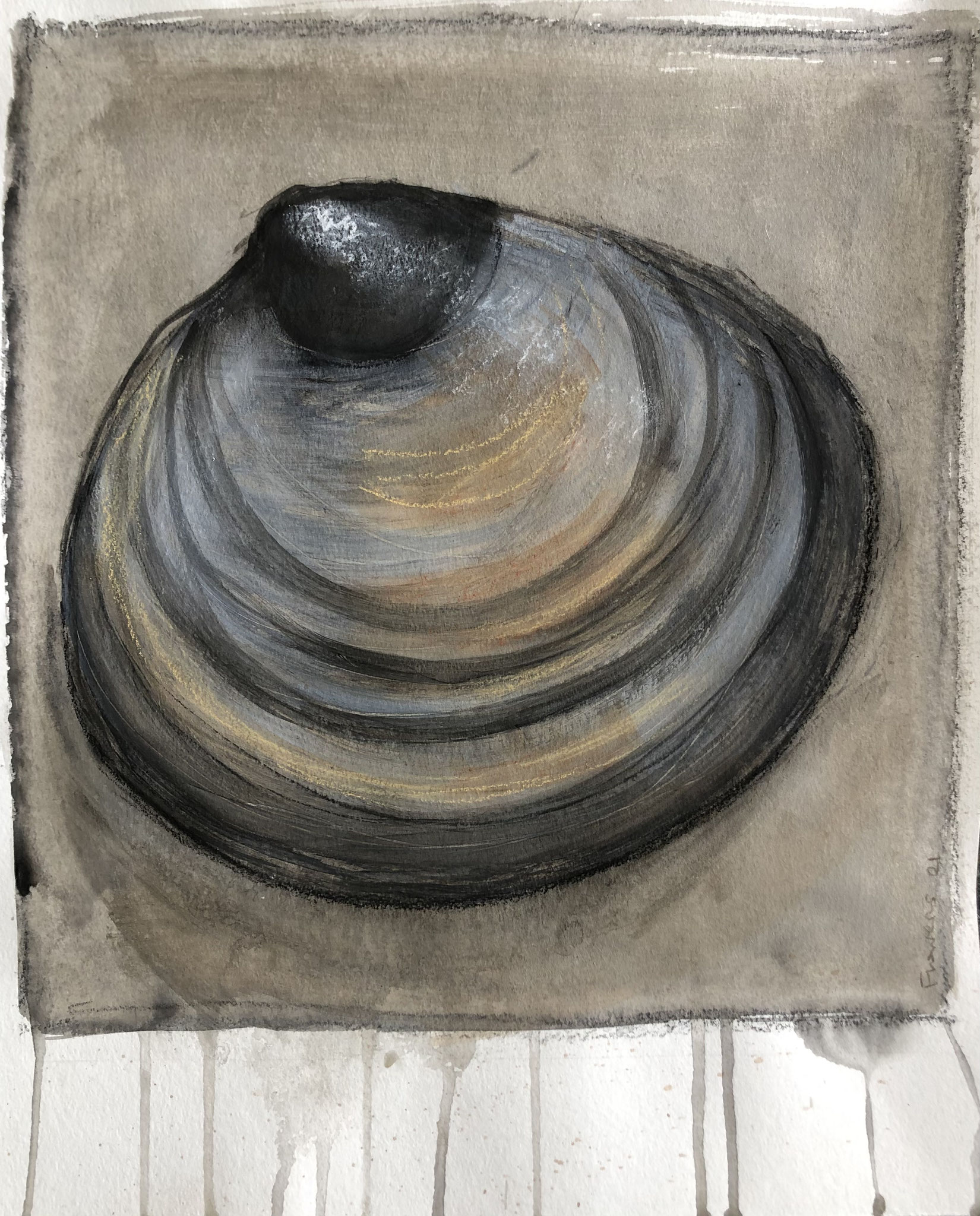 Home - Stunning Oil Paintings - Jane Flowers Artist