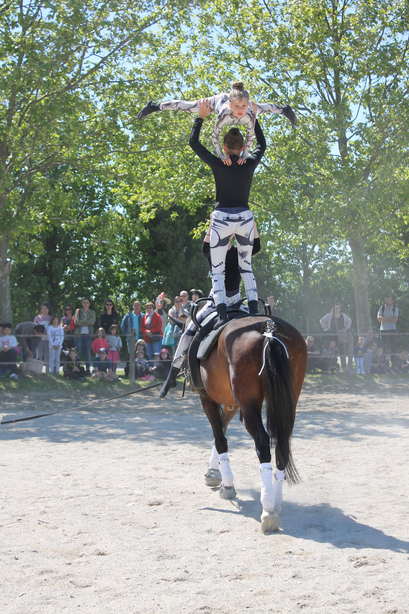 ÉCOLE DE VOLTIGE - Site de poneyaventure