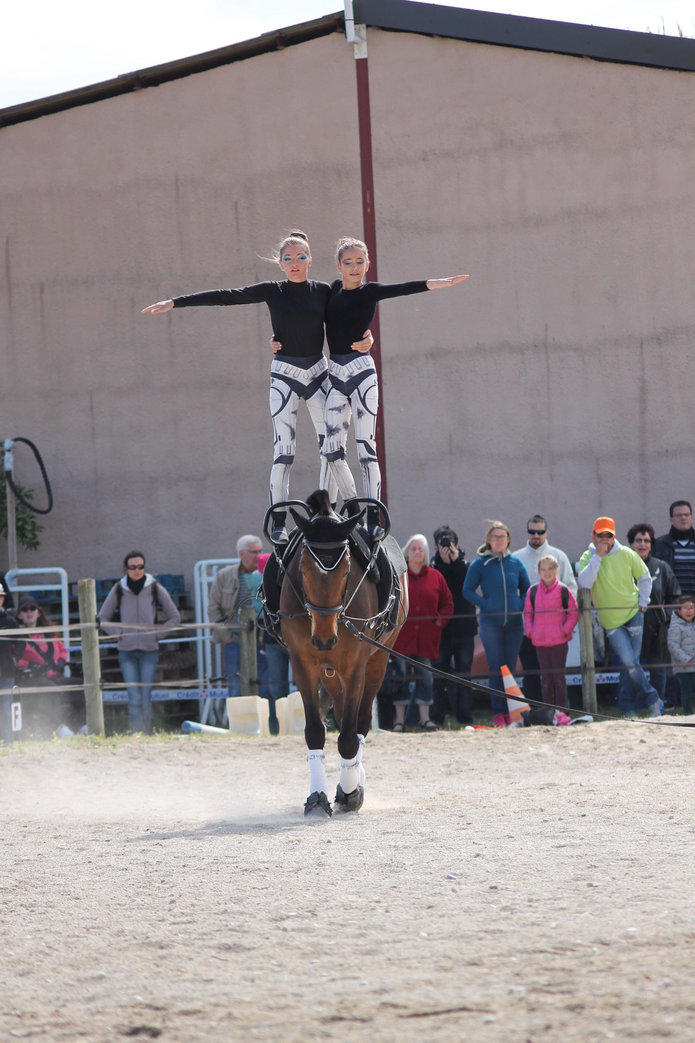 ÉCOLE DE VOLTIGE - Site de poneyaventure