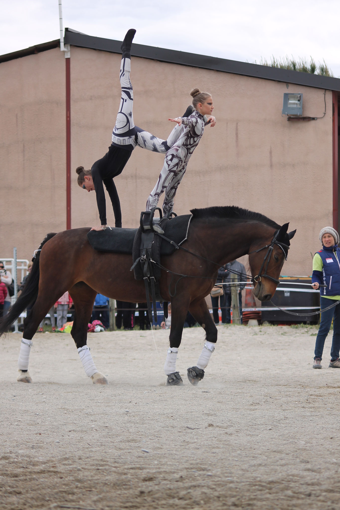 ÉCOLE DE VOLTIGE - Site de poneyaventure
