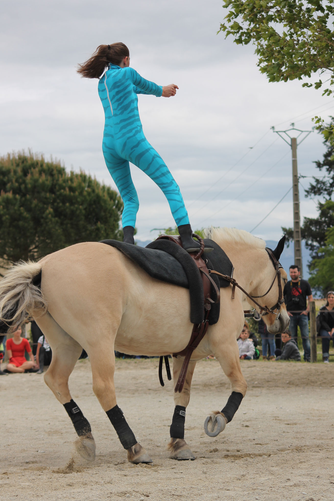 ÉCOLE DE VOLTIGE - Site de poneyaventure