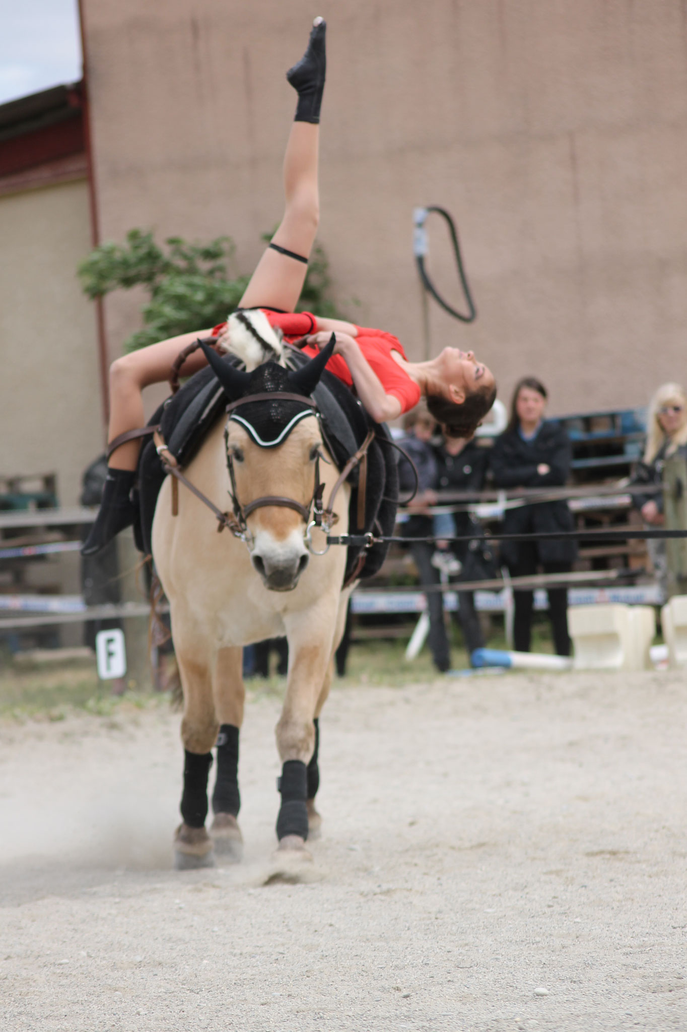 ÉCOLE DE VOLTIGE - Site de poneyaventure
