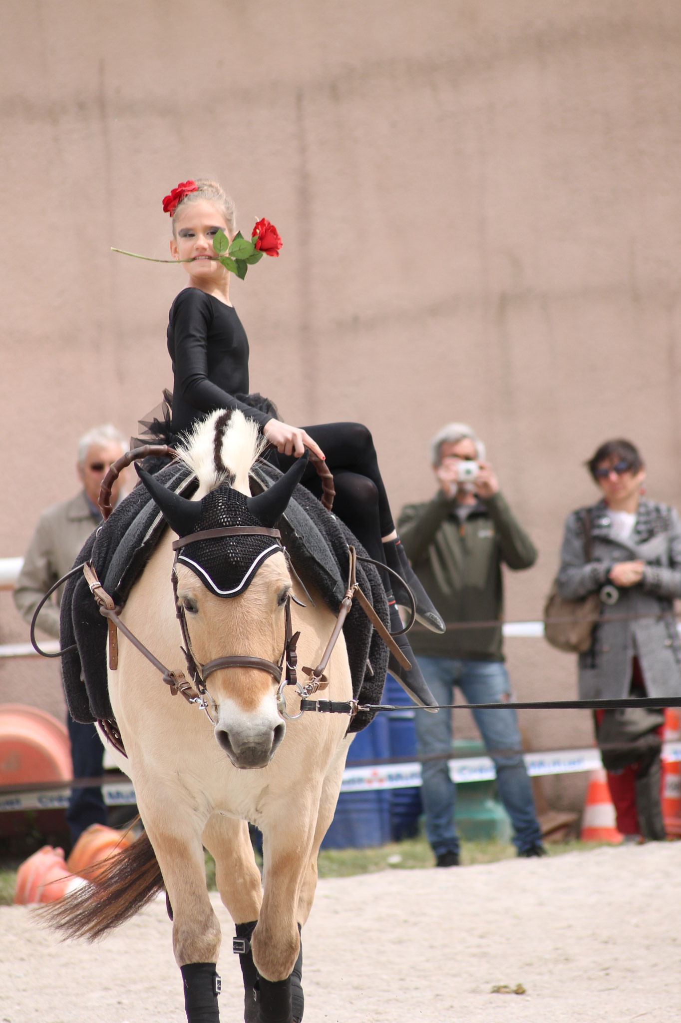 ÉCOLE DE VOLTIGE - Site de poneyaventure