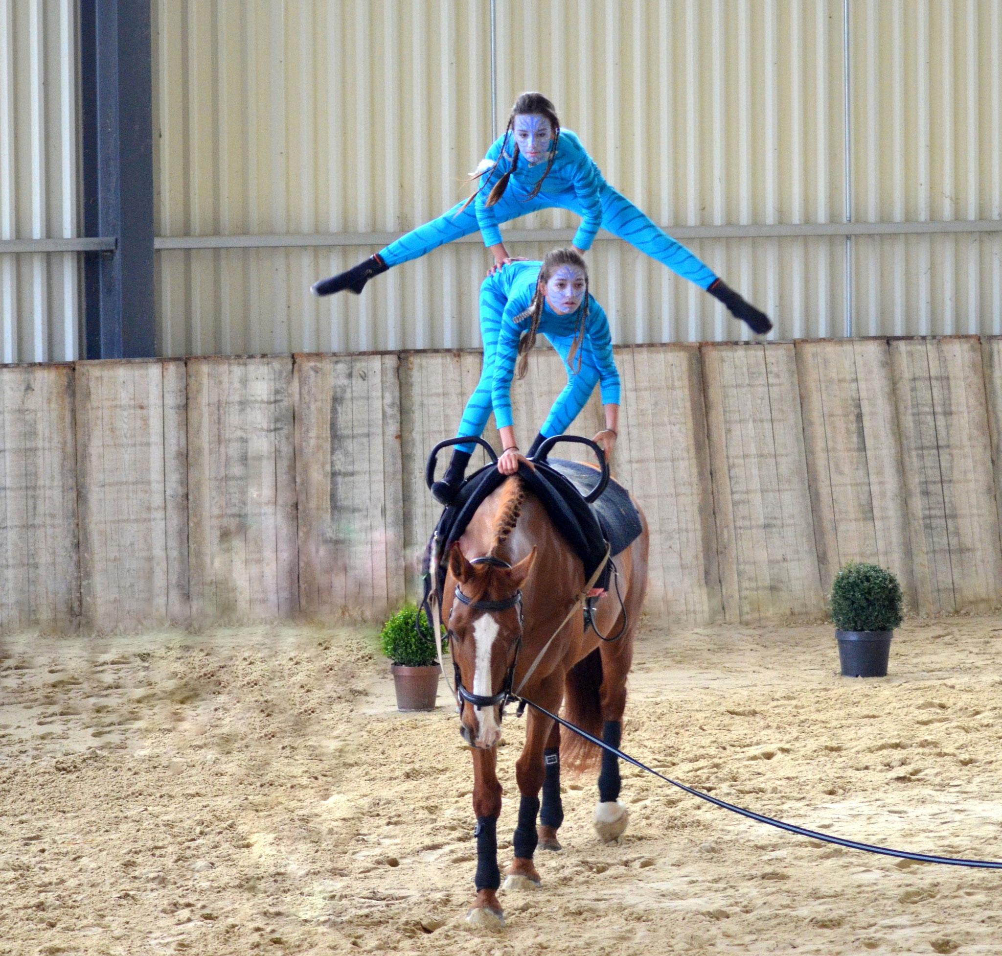 ÉCOLE DE VOLTIGE - Site de poneyaventure