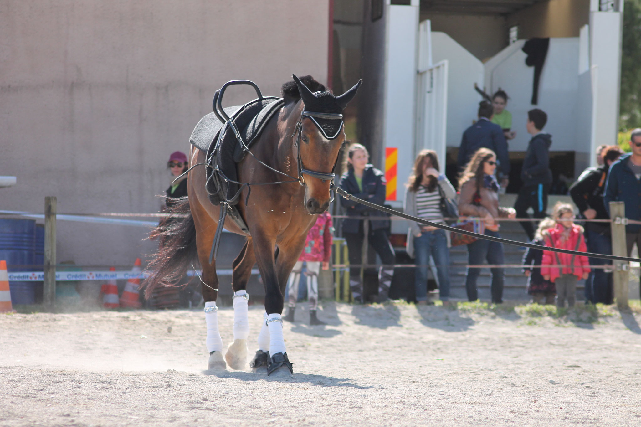 ÉCOLE DE VOLTIGE - Site de poneyaventure