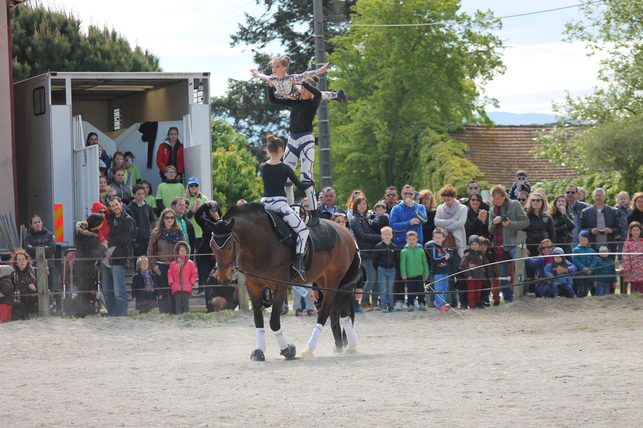 ÉCOLE DE VOLTIGE - Site de poneyaventure