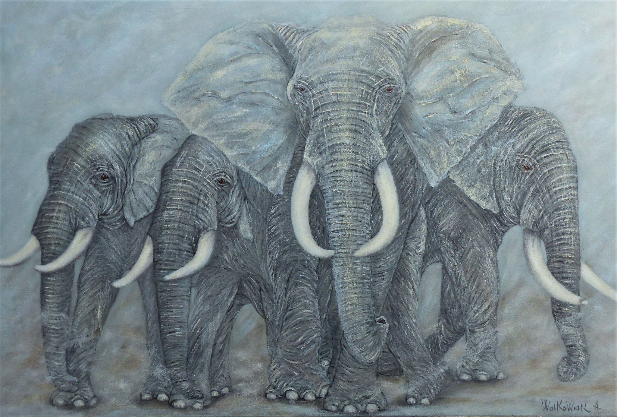 Pachydermes - Annie walkowiak!