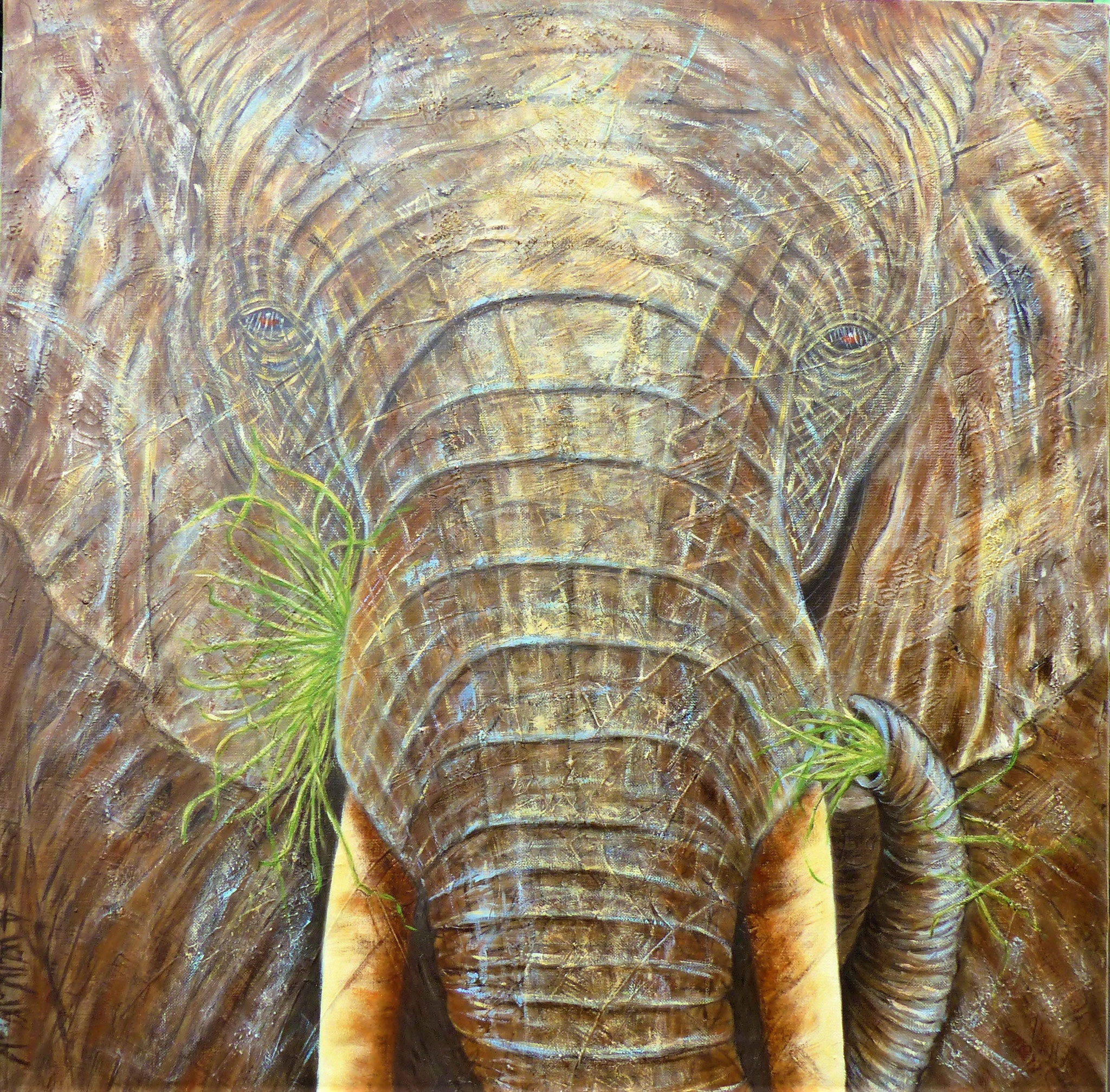 Pachydermes - Annie walkowiak!