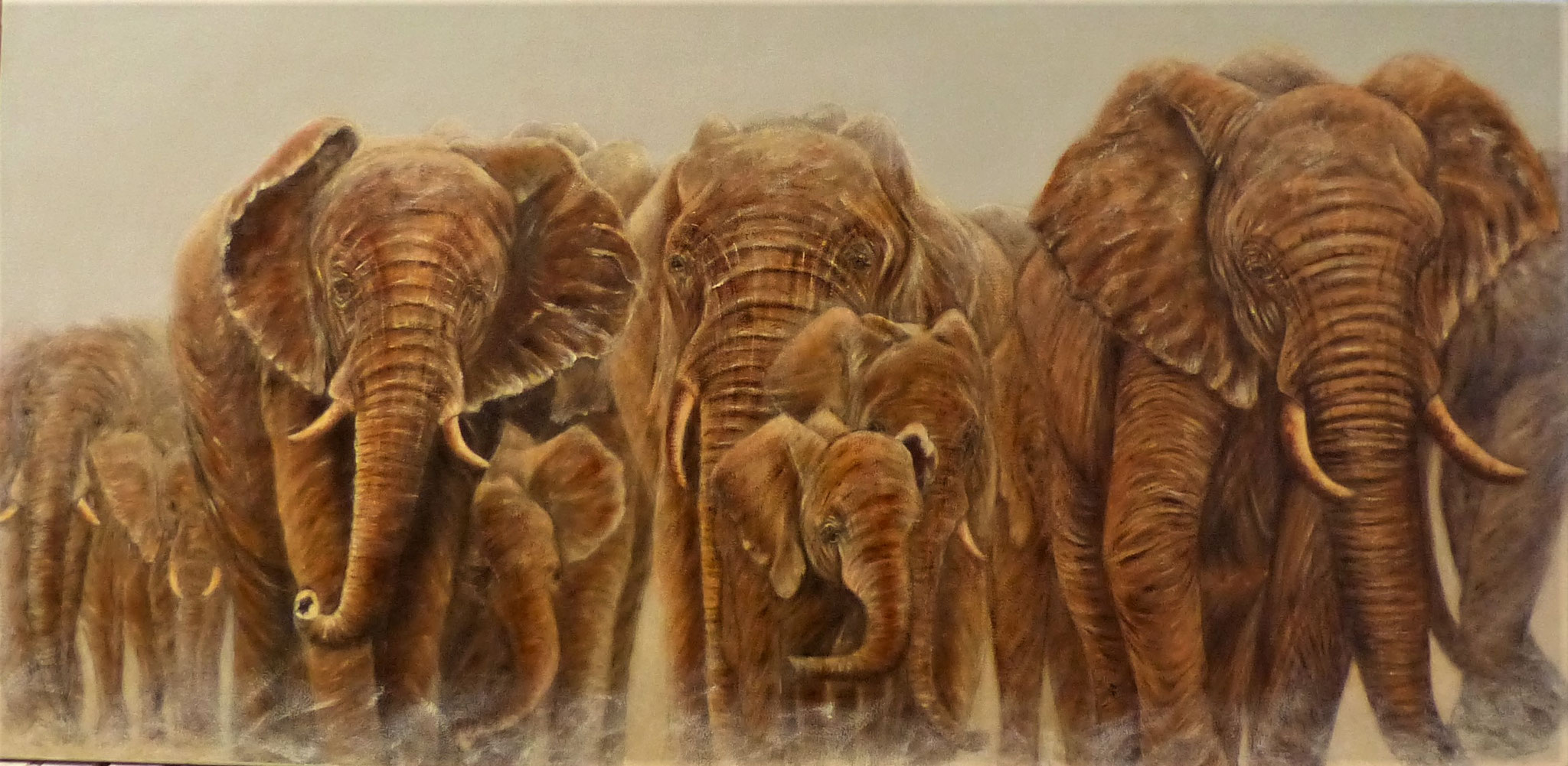 Pachydermes - Annie walkowiak!