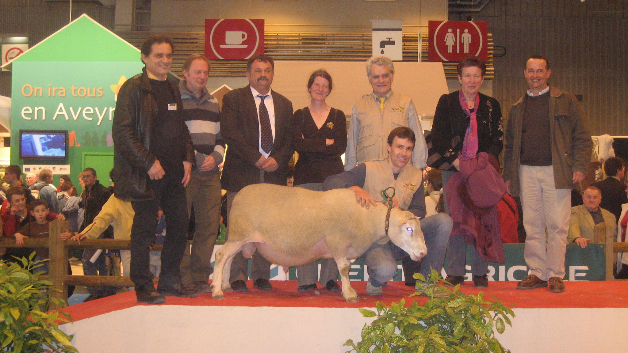Son histoire - Site Officiel de race ovine La Romane - Brebis et Béliers