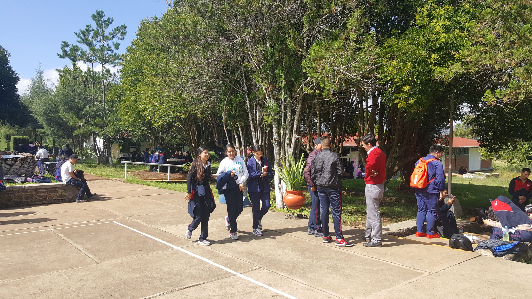 Centro de Bachillerato Tecnológico Agropecuario #33 - Página web de ...