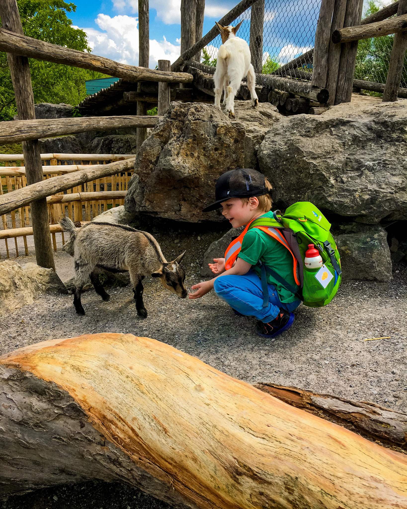 Ausflug in den Zoo - small Foot