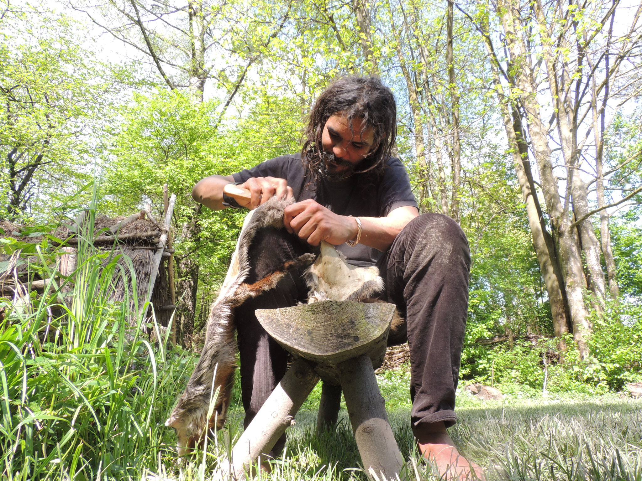 Felle gerben - "Rotfuchs" - Alamannenschule