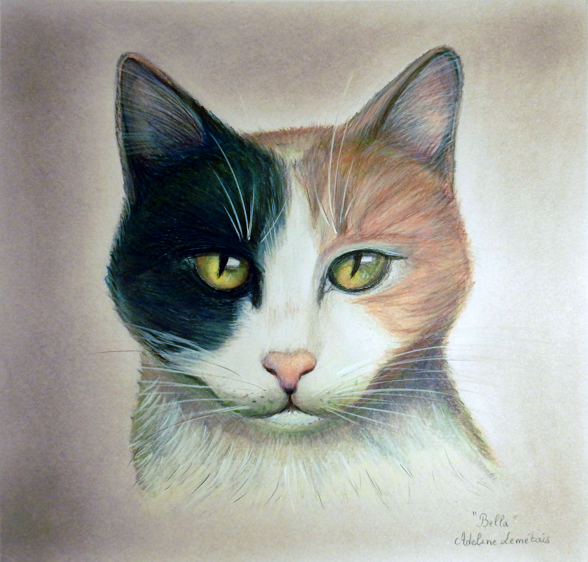 PET PORTRAITS - PORTRAITS ANIMALIER - Atelier Piccolo - Adeline lemétais