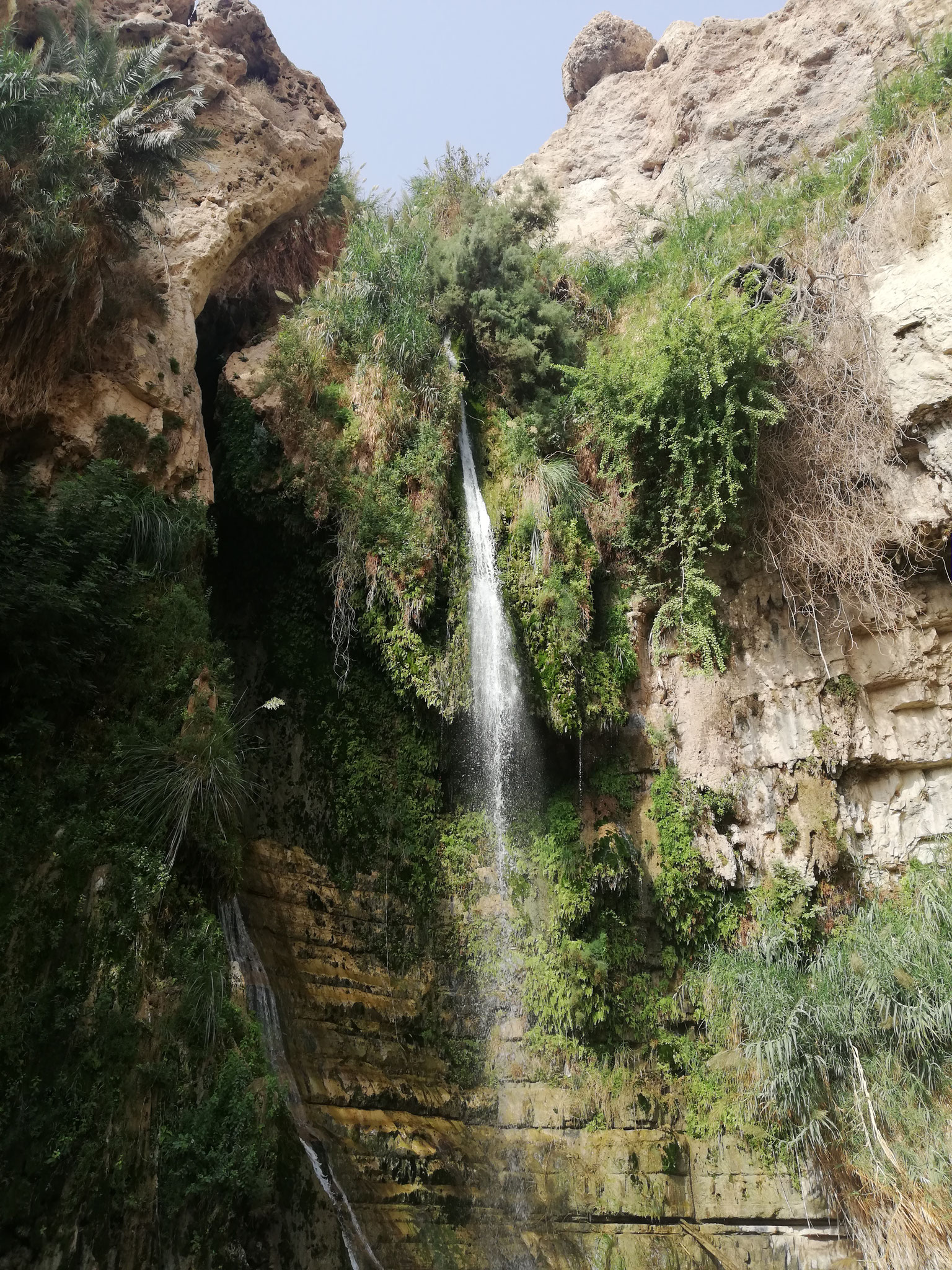Ein Gedi - Mark Gershom - tour guide