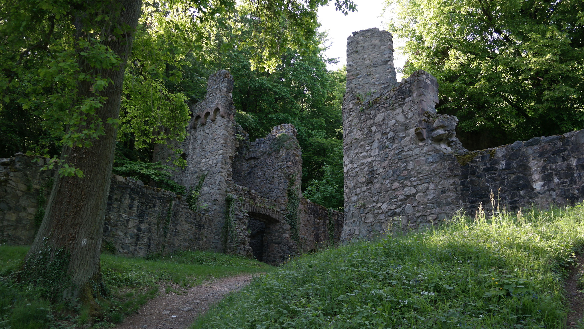 Burgruine - Rodenstein (Odenwaldkreis) - Burgendatenbank und Burgenatlas