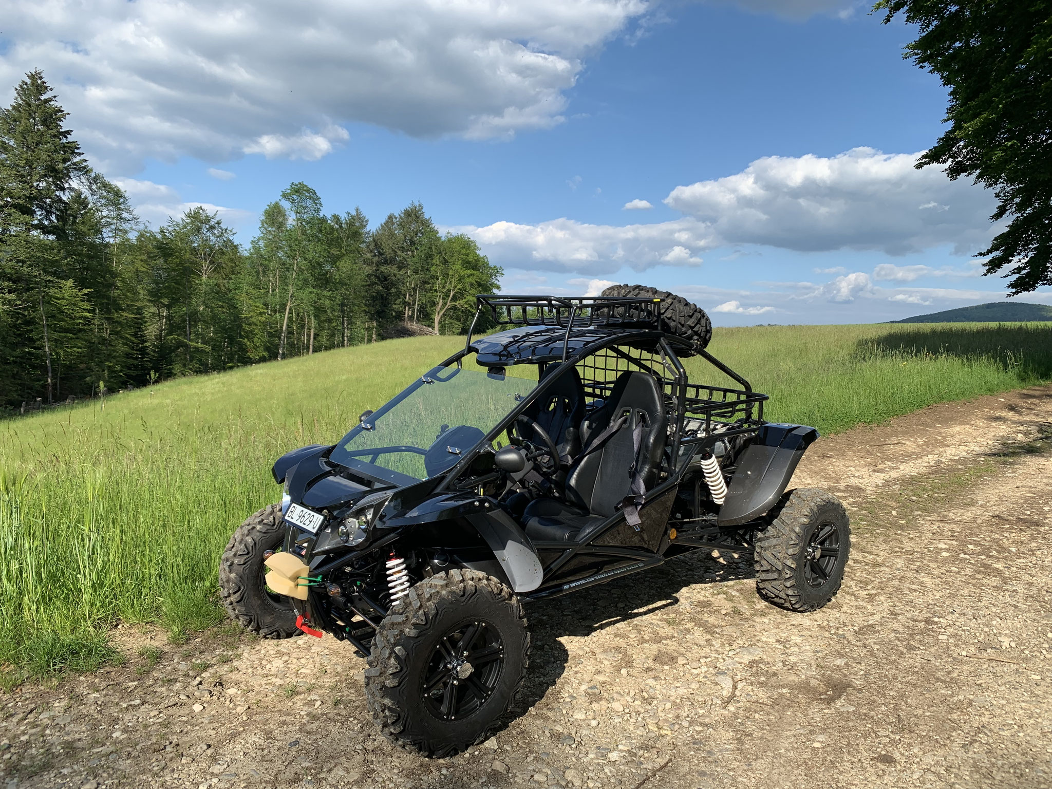 Renli Bode 4x4 Offroad Off Road Buggy UTV Side-by-Side ATV Dune Buggy ...