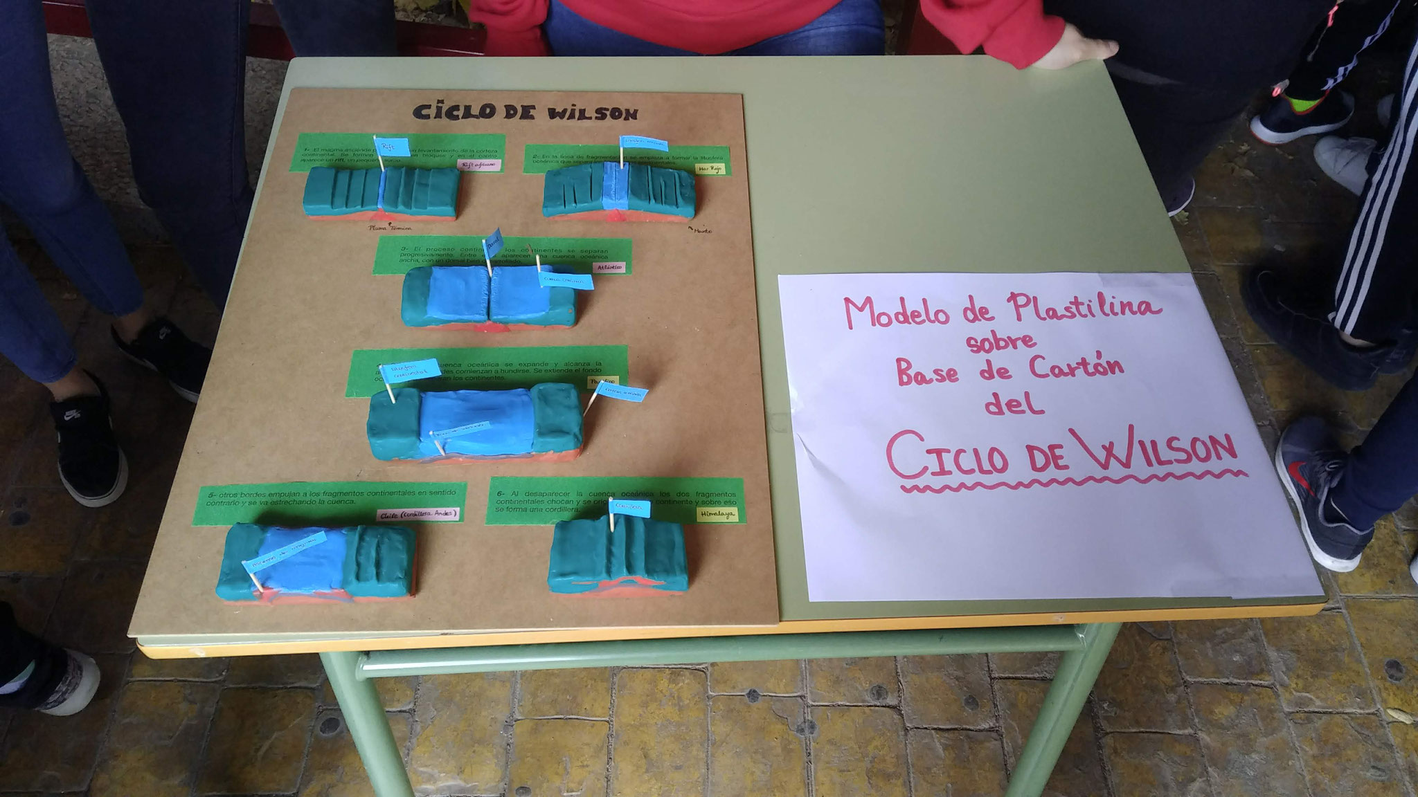 CICLO DE WILSON - Página web de mferminprofe