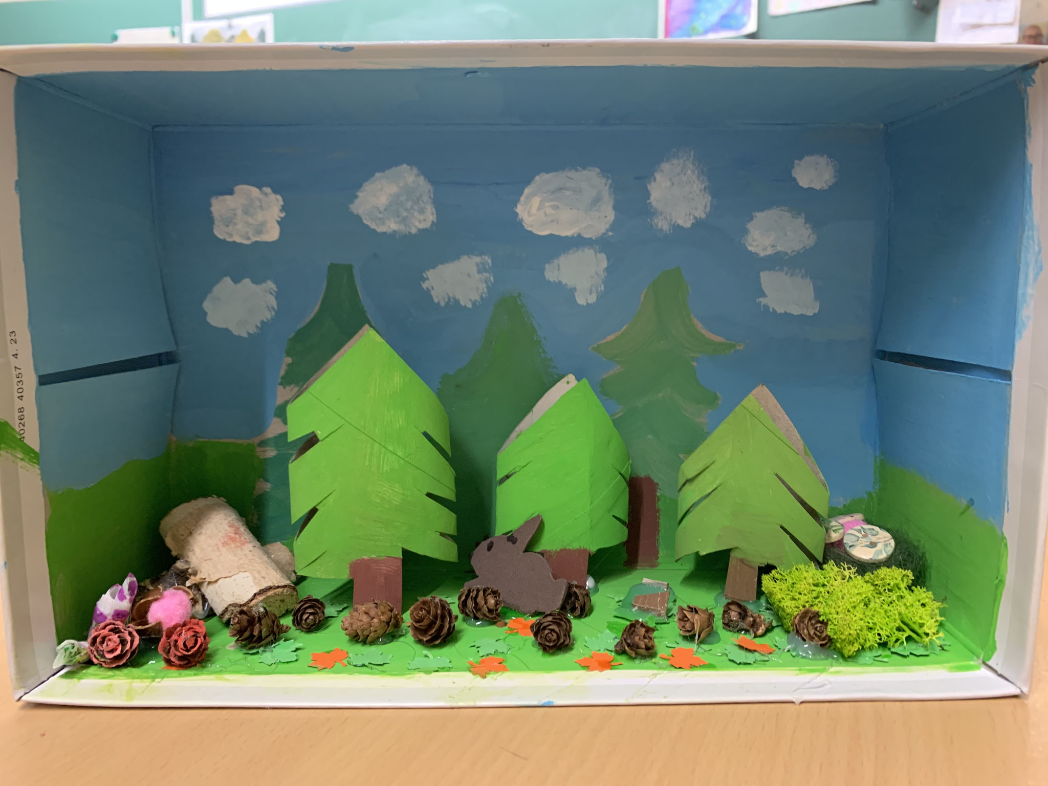 Der Wald im Laufe der Jahreszeiten - August-Bebel-Schule Grundschule ...