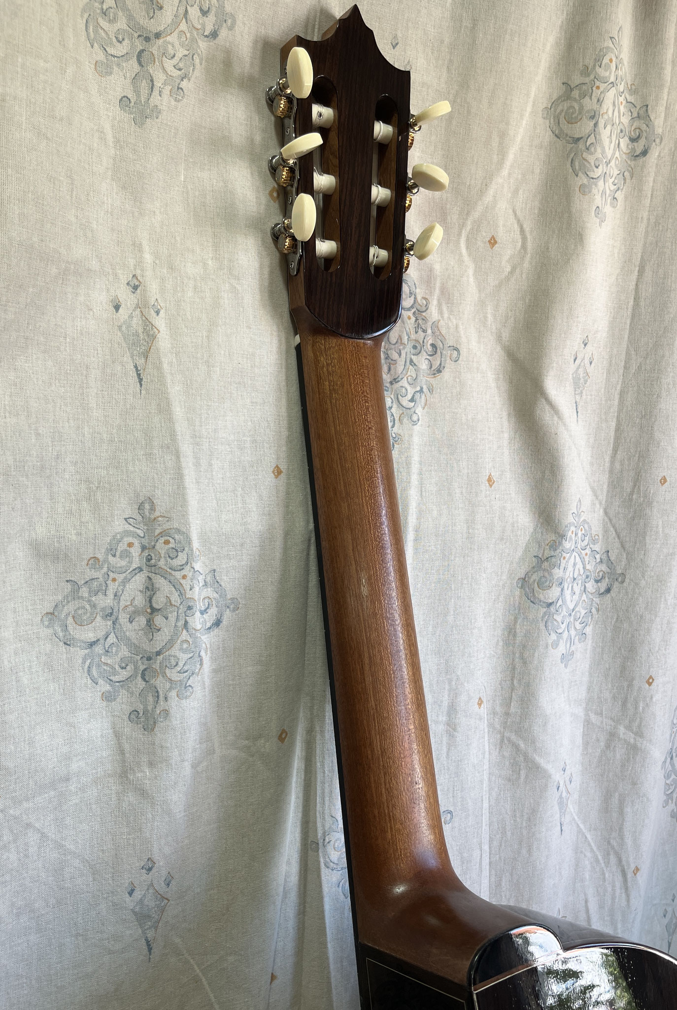 Available - Jose Marques Custom Guitars