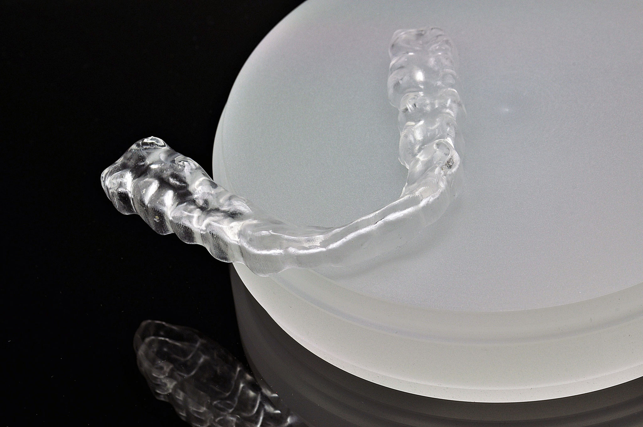 Schienen – Funktions-, Knirscher- oder Michiganschiene - ZAHNTECHNIK ...