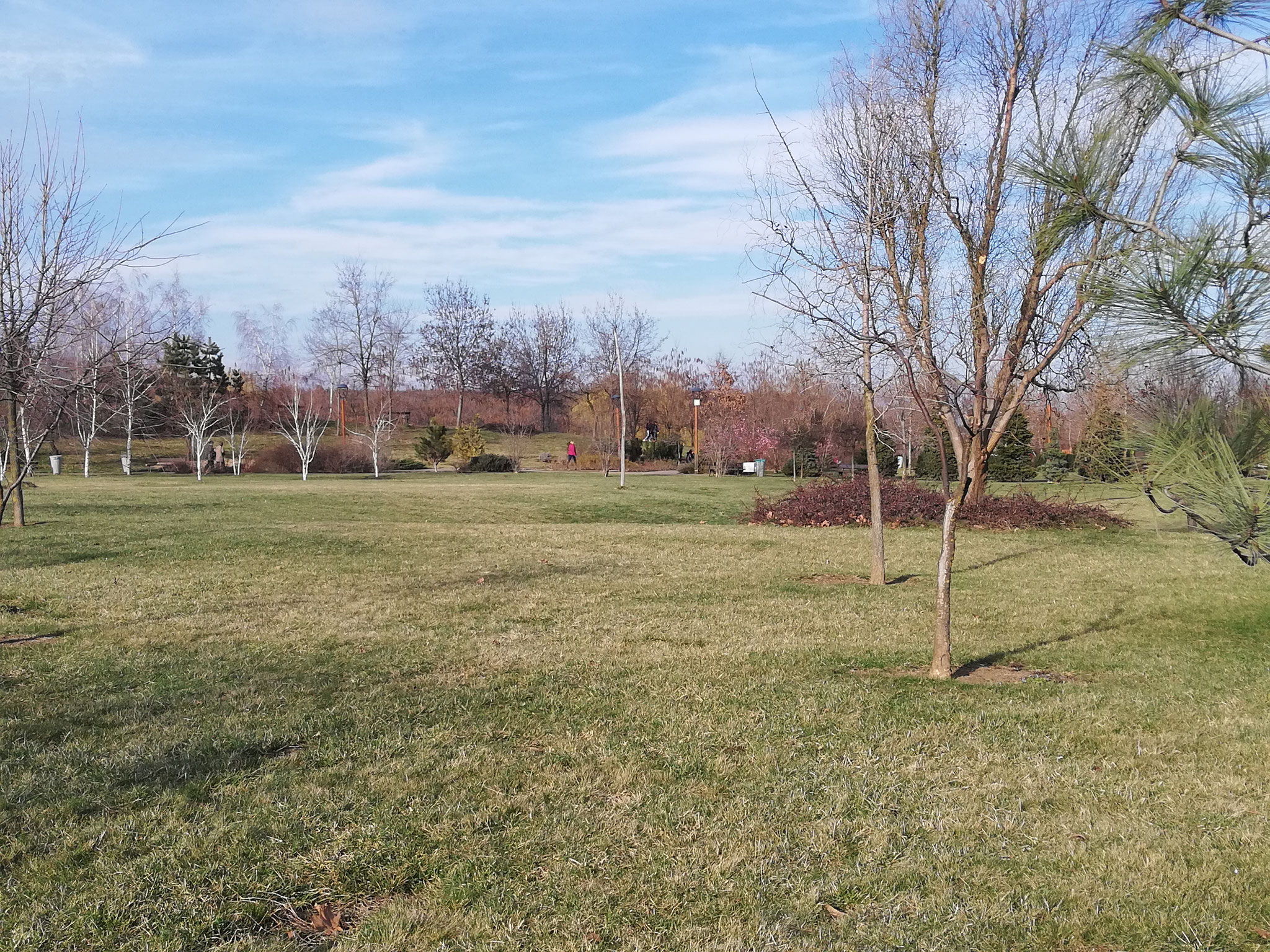 Parcul dendrologic si padurea Chitila - costacheinjurullumii