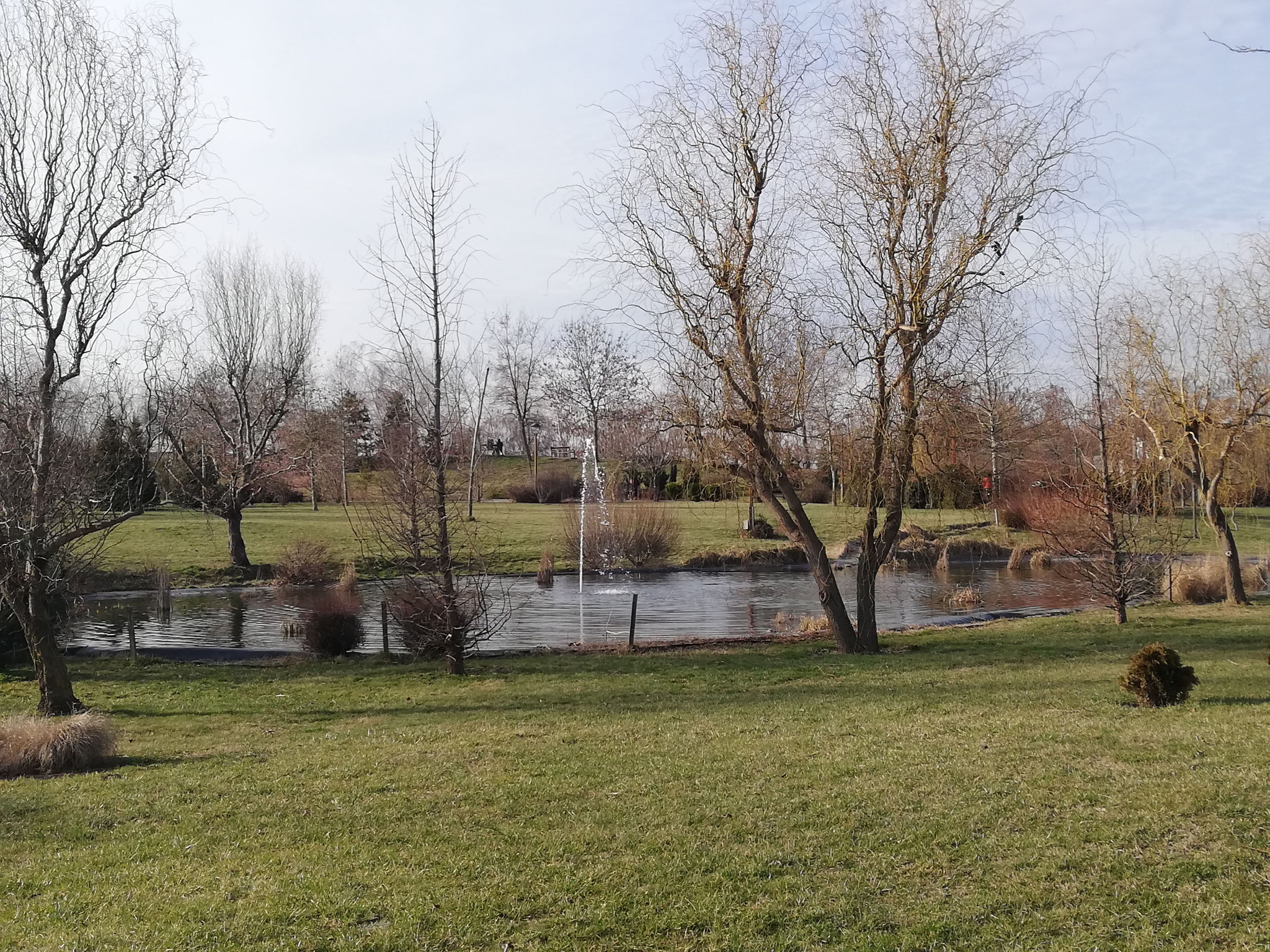 Parcul dendrologic si padurea Chitila - costacheinjurullumii