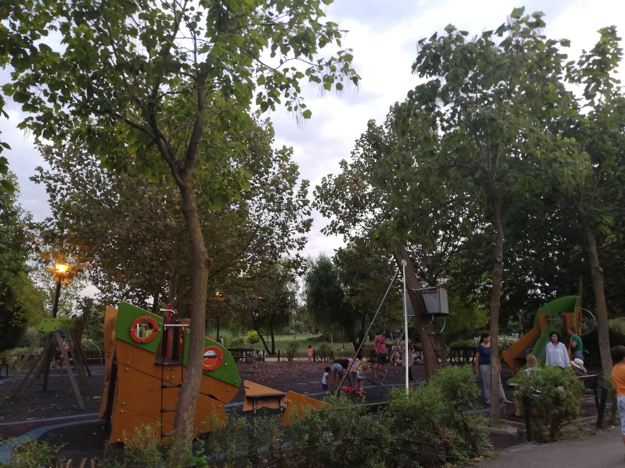 Parcul dendrologic si padurea Chitila - costacheinjurullumii