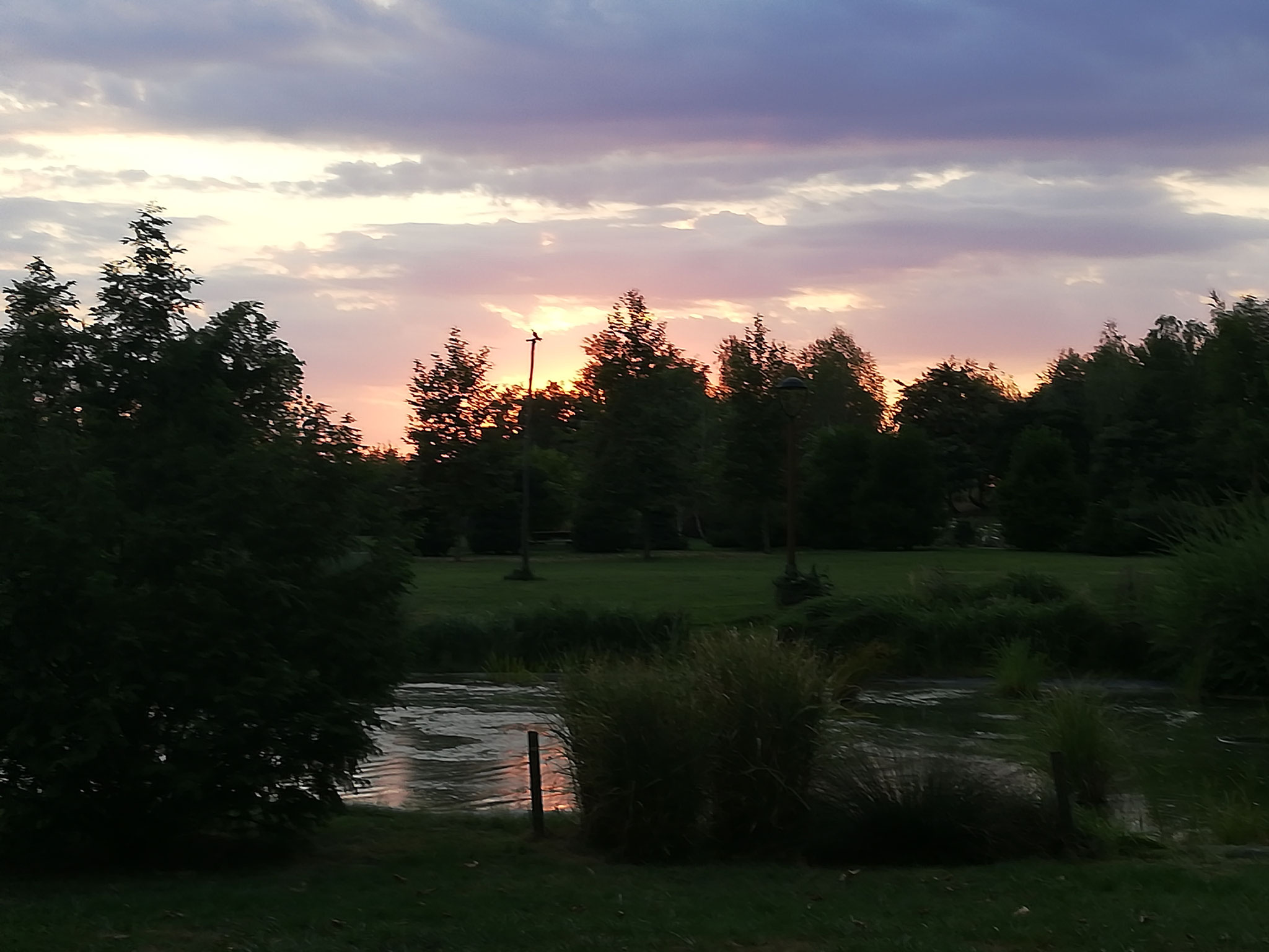 Parcul dendrologic si padurea Chitila - costacheinjurullumii