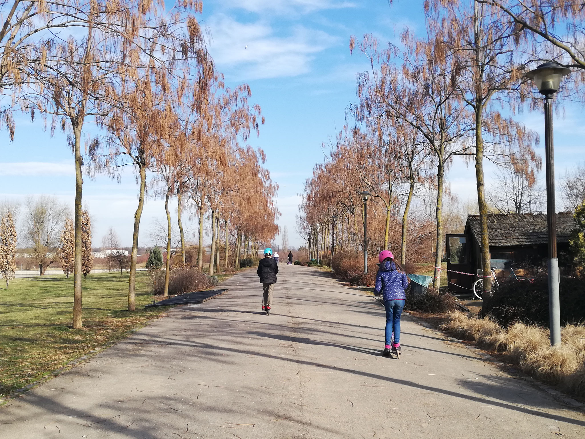 Parcul dendrologic si padurea Chitila - costacheinjurullumii