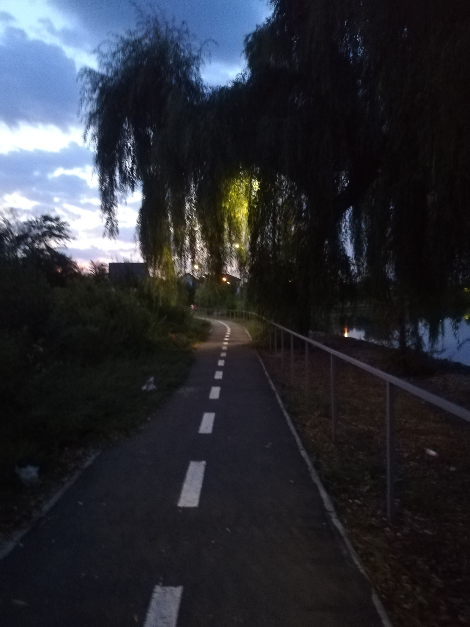 Parcul dendrologic si padurea Chitila - costacheinjurullumii