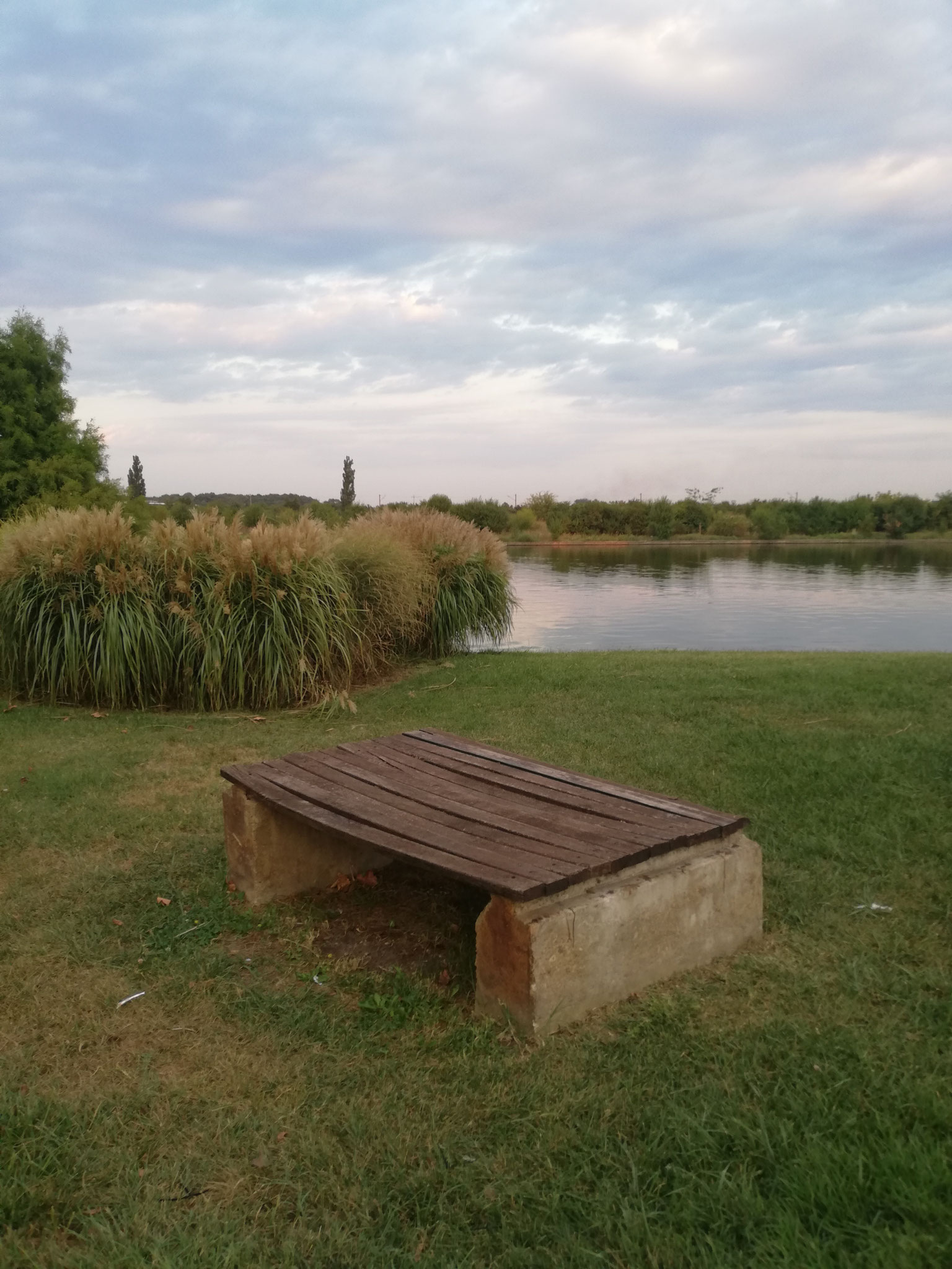 Parcul dendrologic si padurea Chitila - costacheinjurullumii