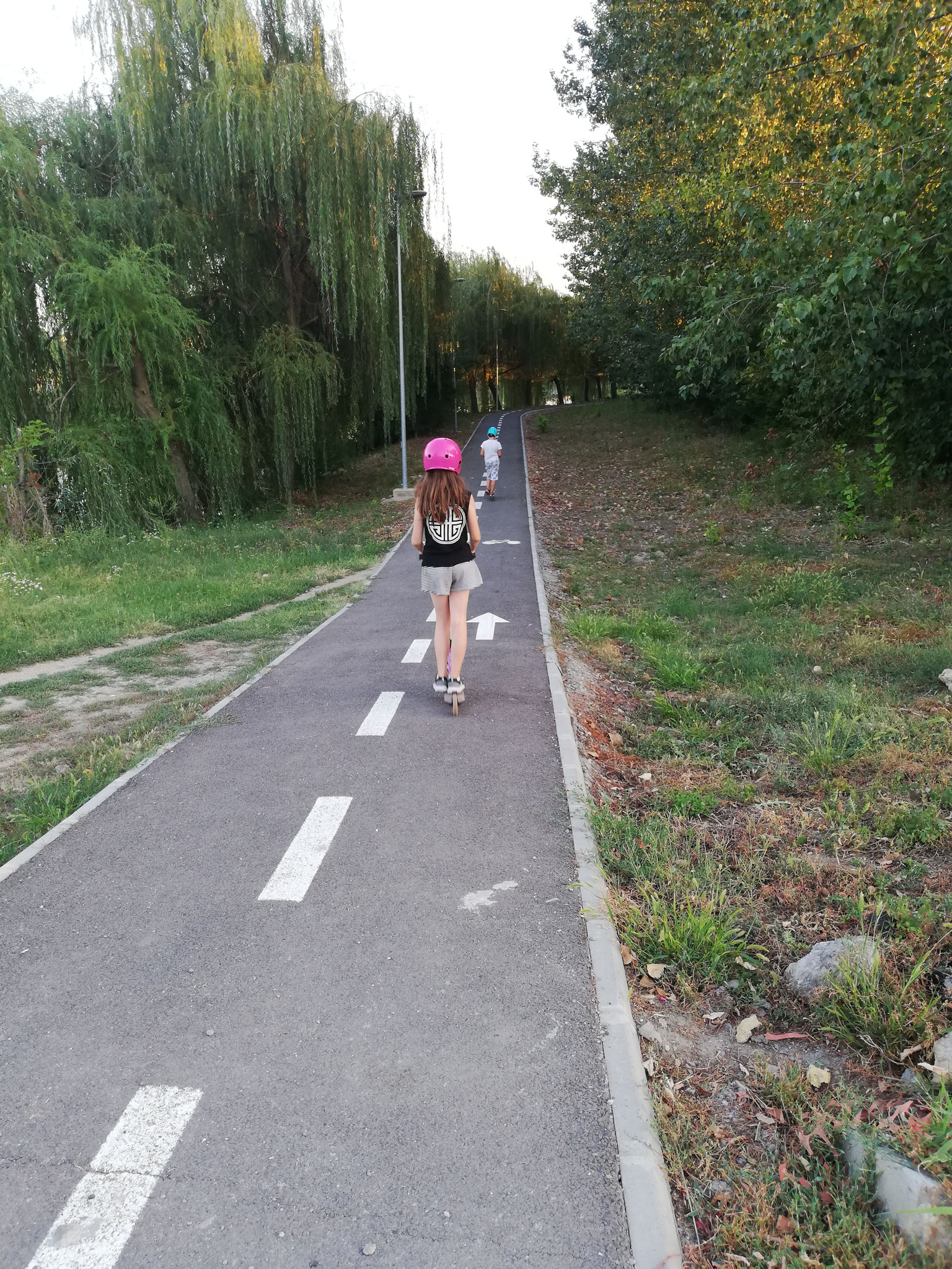 Parcul dendrologic si padurea Chitila - costacheinjurullumii