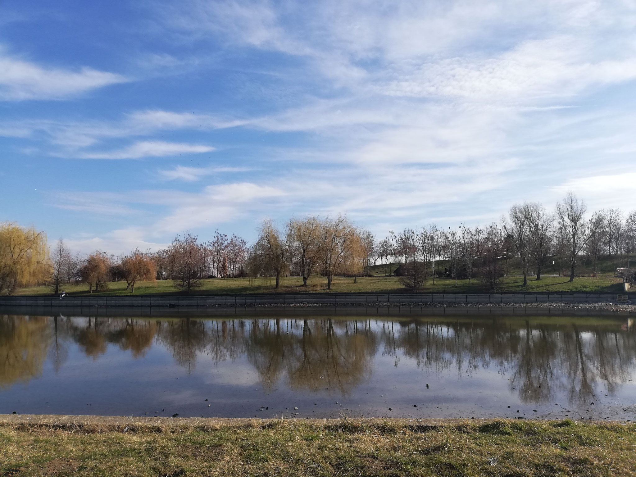 Parcul dendrologic si padurea Chitila - costacheinjurullumii
