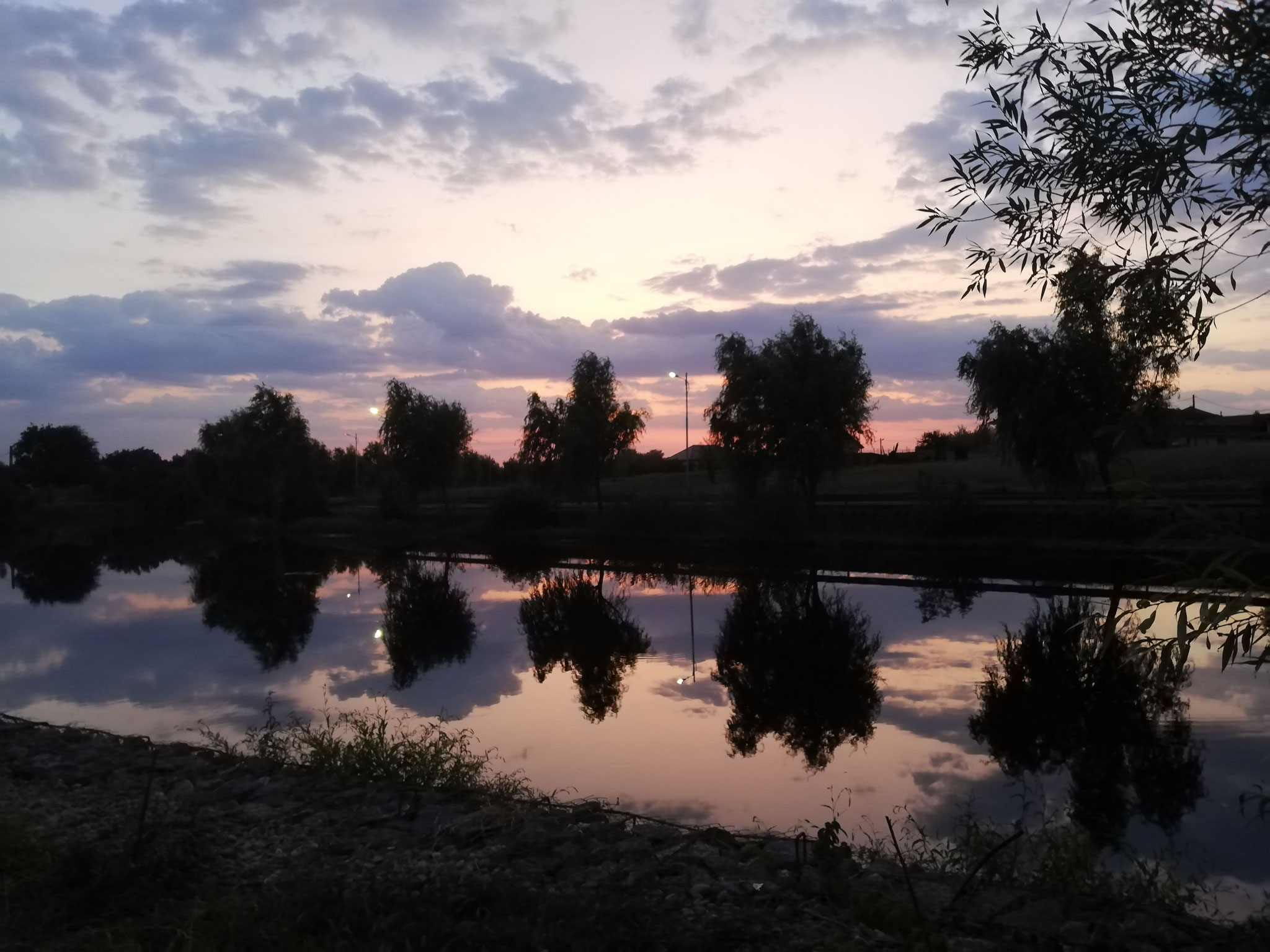 Parcul dendrologic si padurea Chitila - costacheinjurullumii