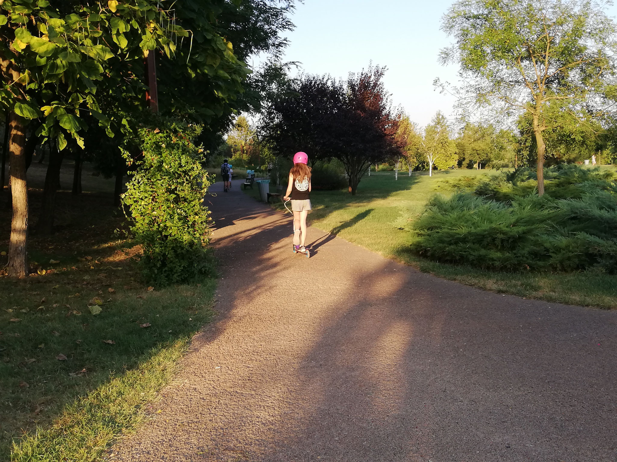 Parcul dendrologic si padurea Chitila - costacheinjurullumii