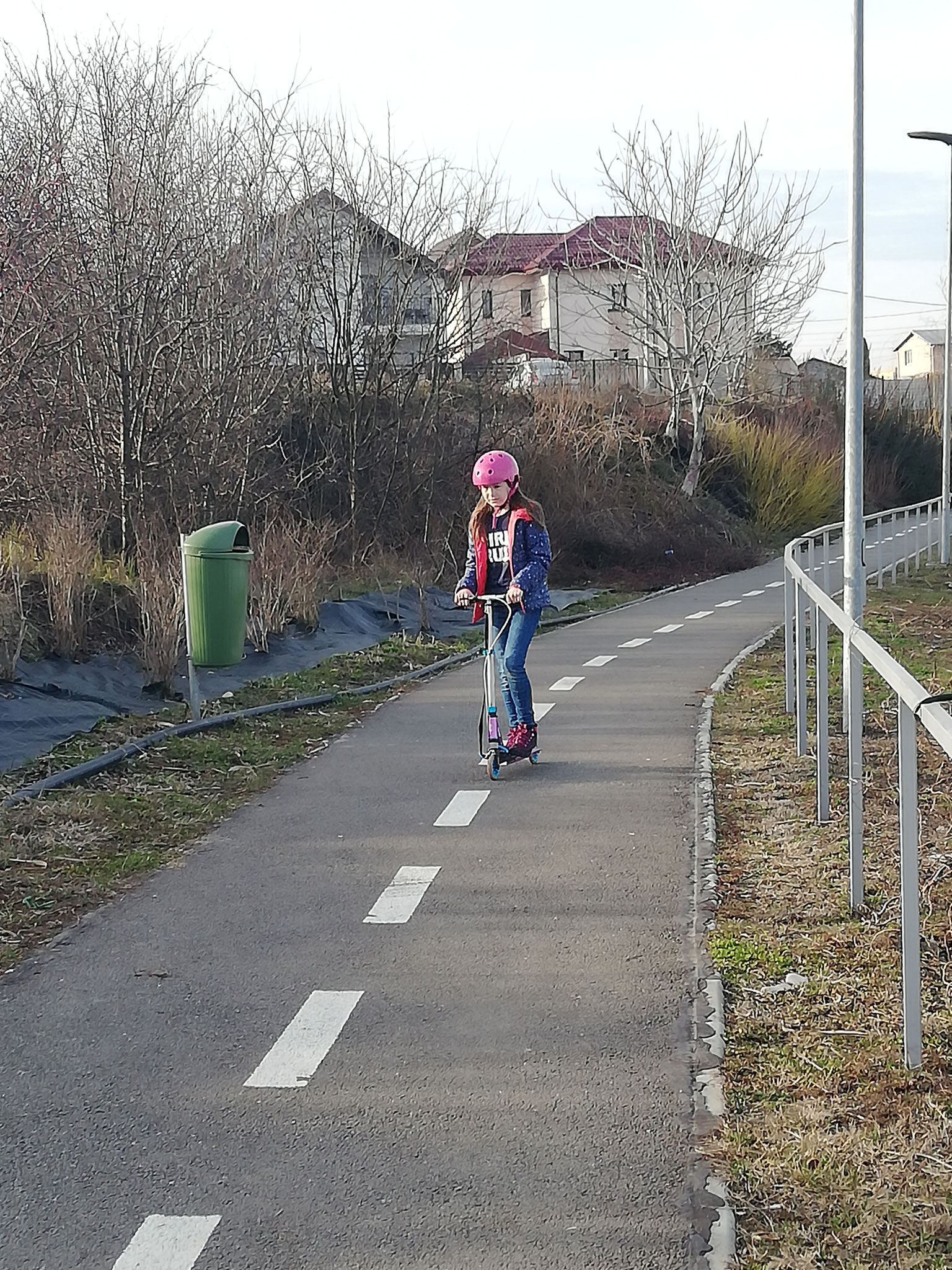 Parcul dendrologic si padurea Chitila - costacheinjurullumii