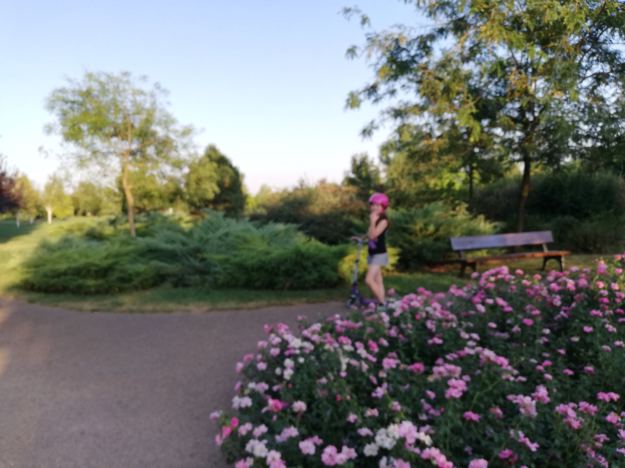 Parcul dendrologic si padurea Chitila - costacheinjurullumii